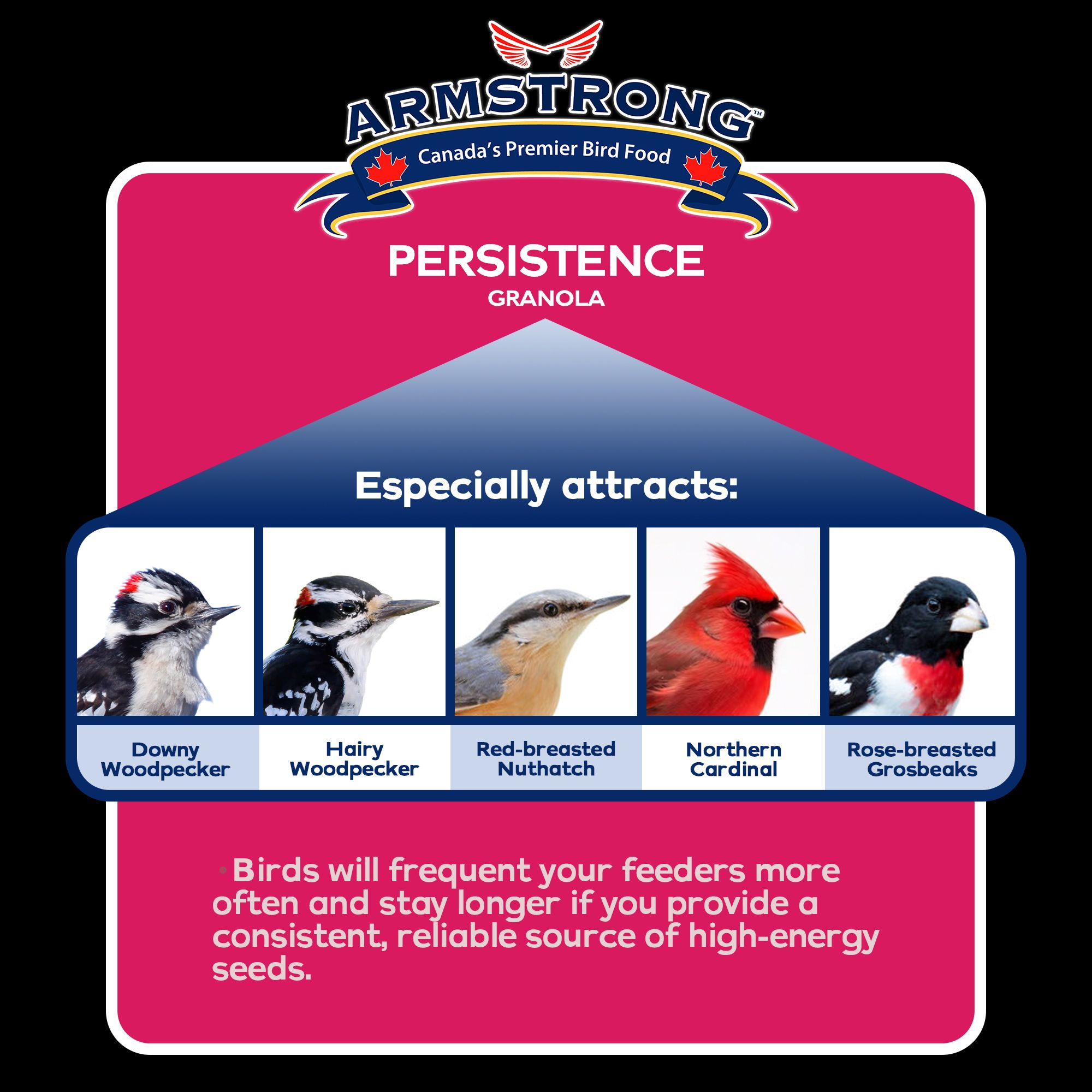 ARMSTRONG Wild Bird Food Royal Jubilee Persistence Granola Stack - 7 ...
