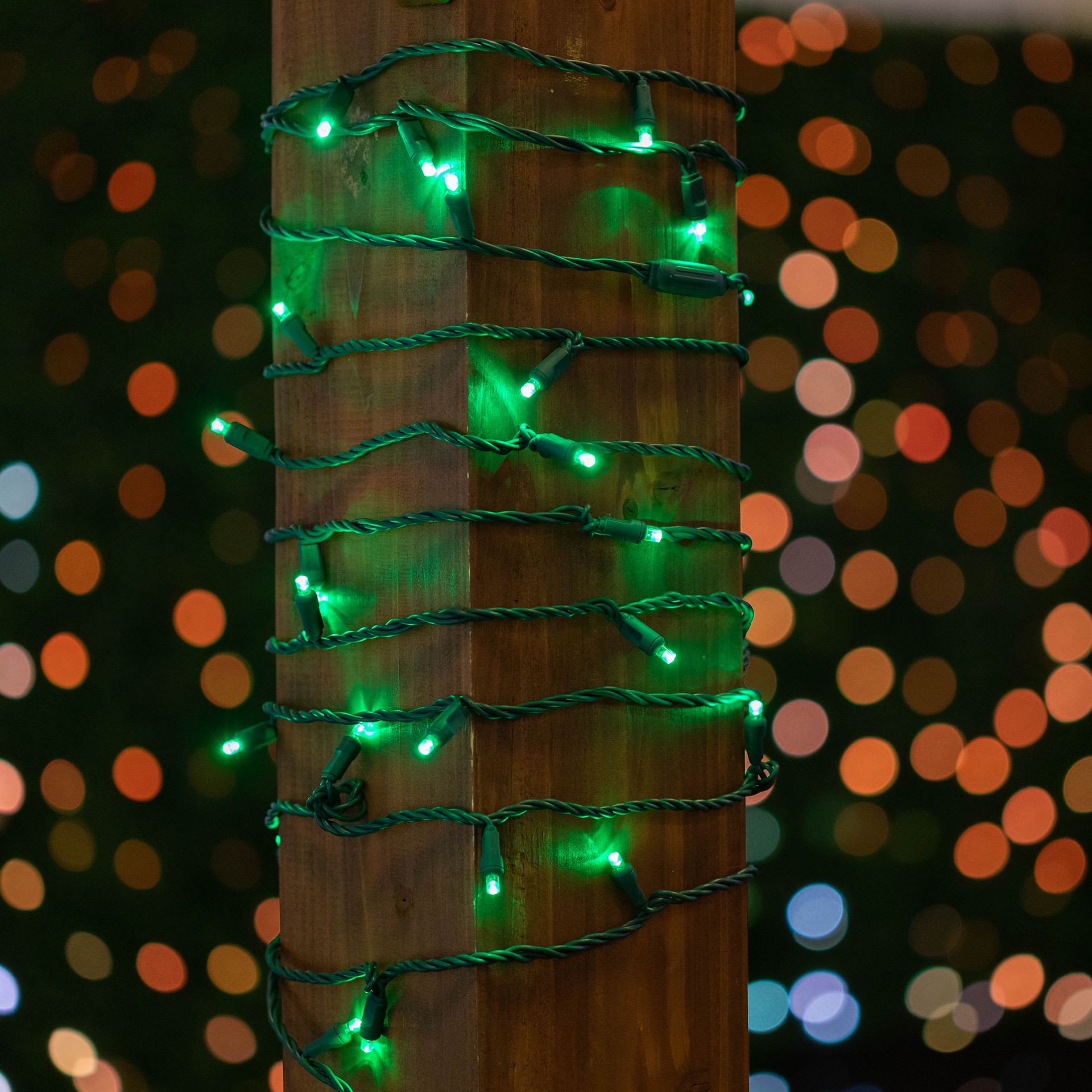 Novelty Lights 17 Feet 50 LED Green Christmas Mini Light String on ...