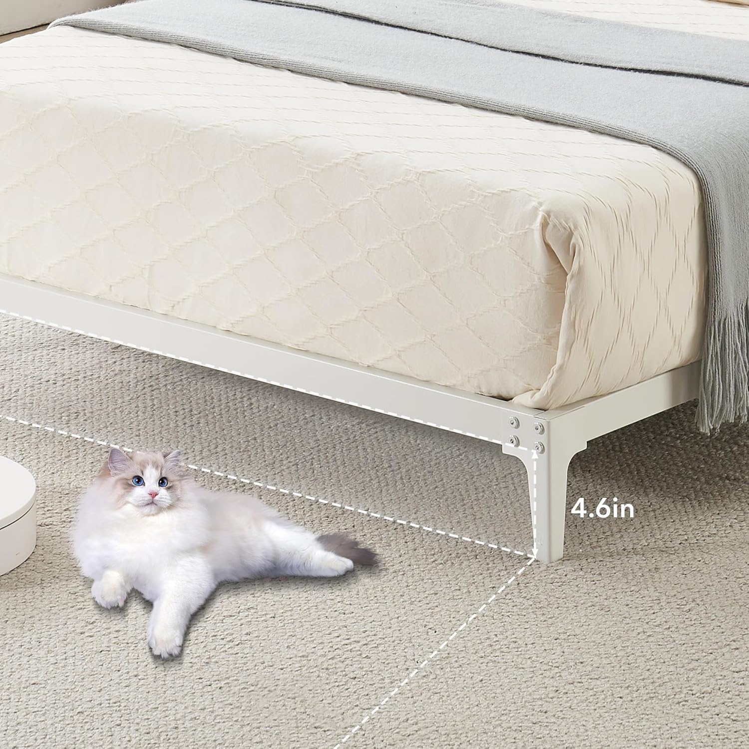Garvee 6 Inch White Twin Metal Platform Bed Frame Heavy Duty Noise-Free ...