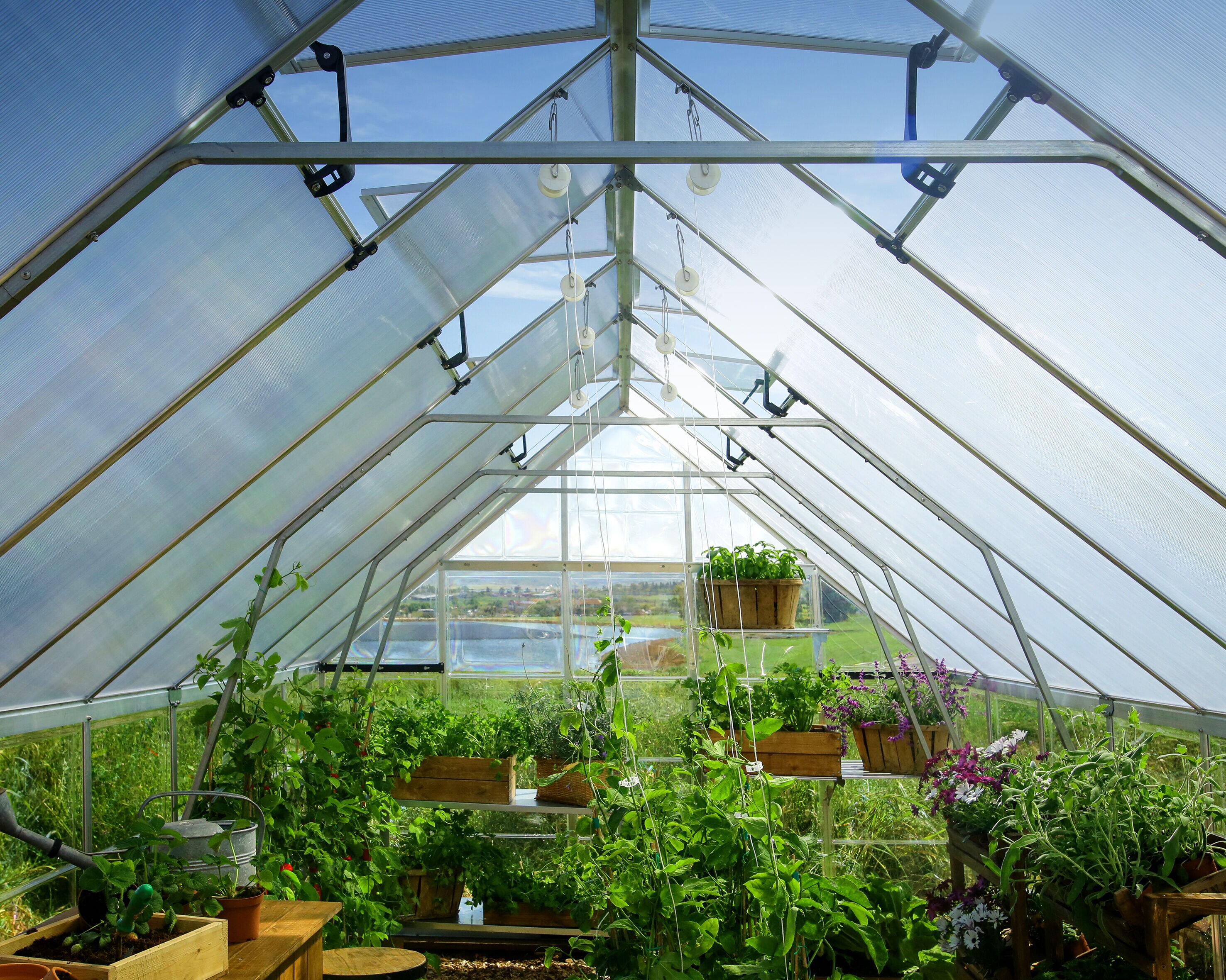 Canopia by Palram Balance 16-ft L x 10-ft W x 8-ft H Silver Frame/Clear ...