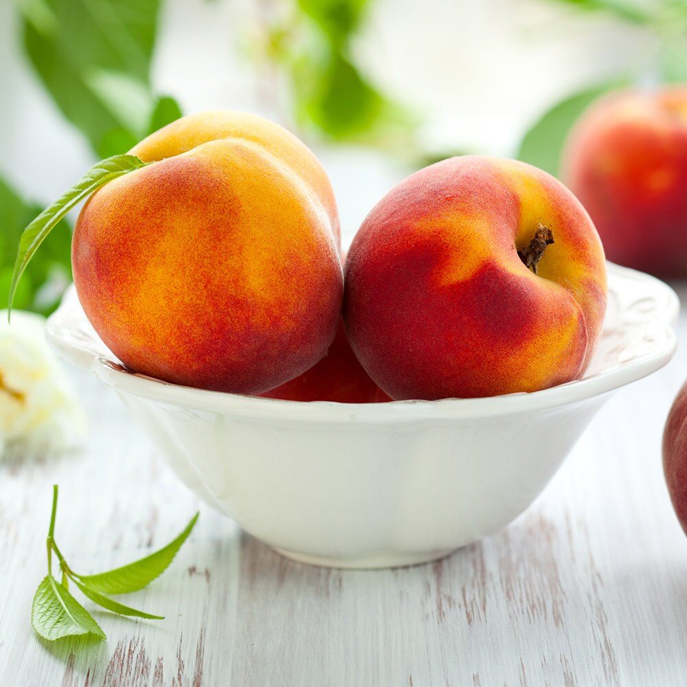 Brighter Blooms Peach Plant in Pot in the Fruit Plants department at ...