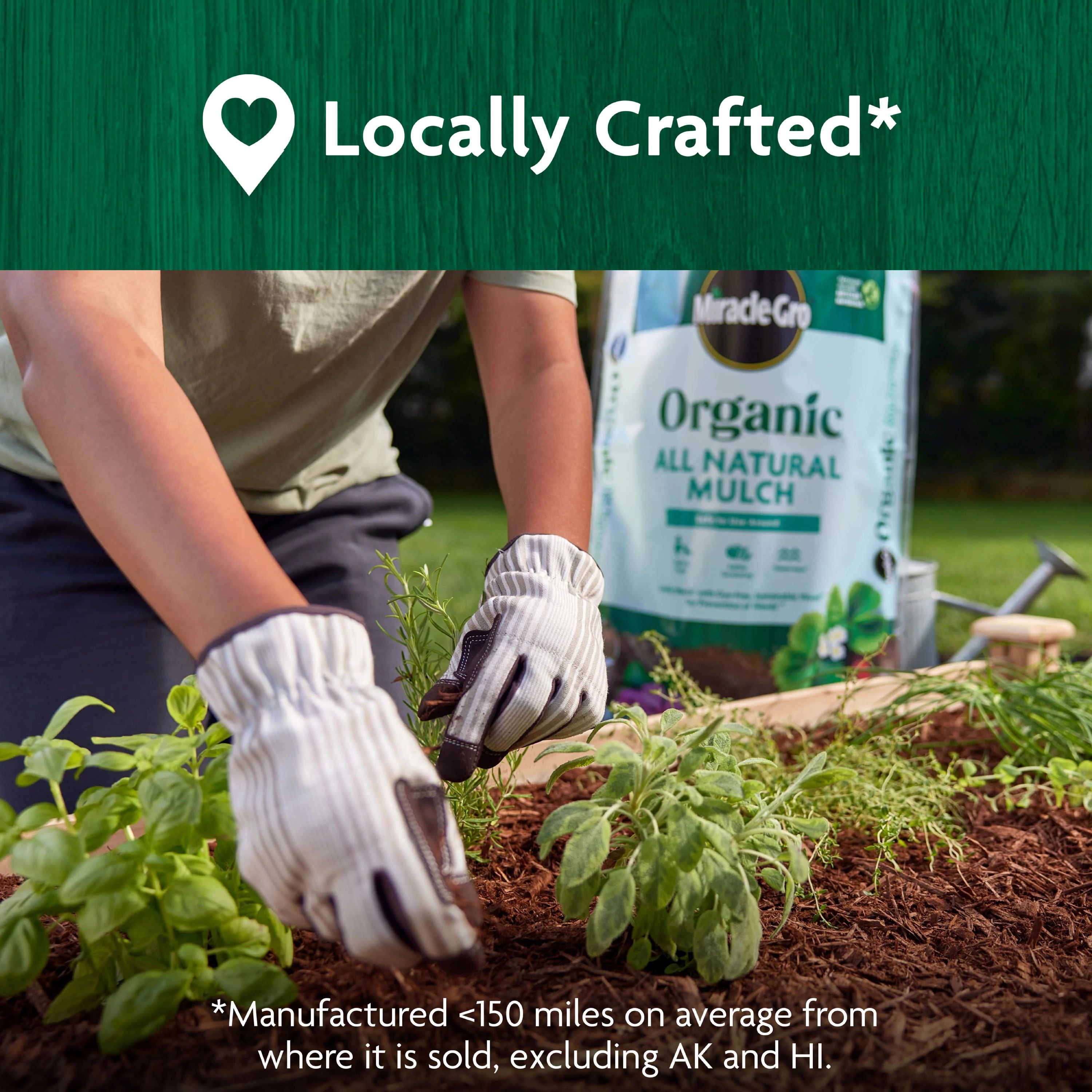 Miracle-Gro Organic All Natural 1.5-cu ft Dye Free Mulch in the Bagged ...