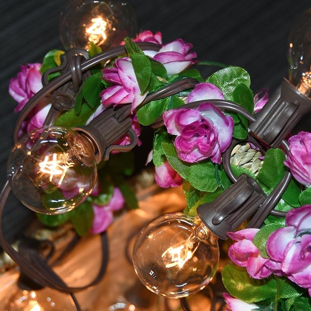 Misopily 25Ft Globe String Lights 27 Clear G40 Bulbs 5W E12 Base ...