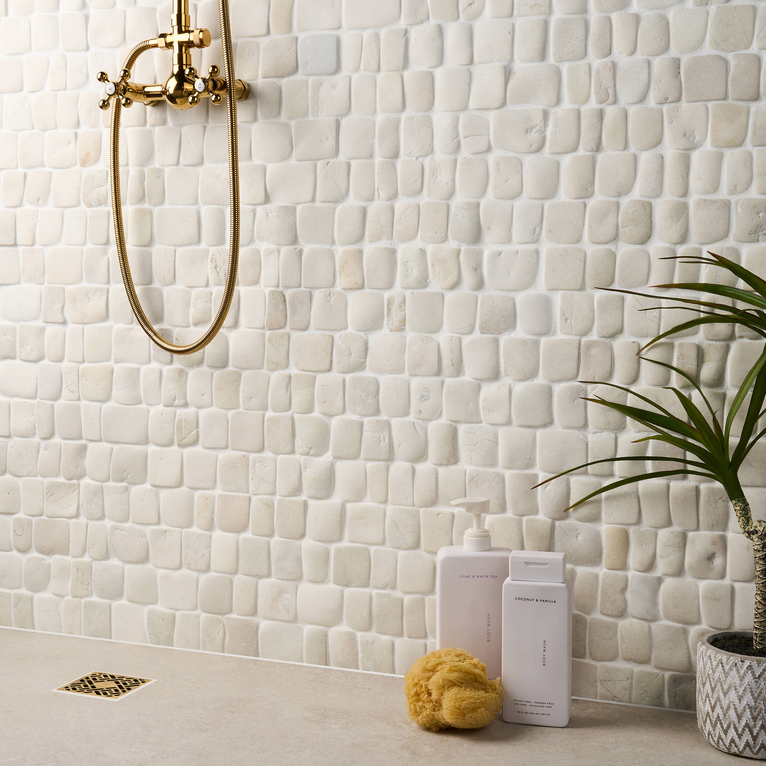 Artmore Tile Sample - Landscape Pathway Lovina White 6-in x 6-in ...