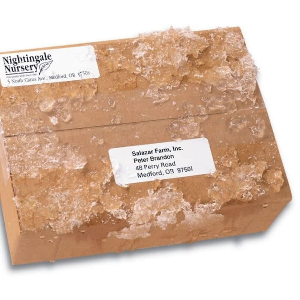 Avery Laser Label 2 5/8 in Label W 1 in Label H 30 Labels per Sheet ...