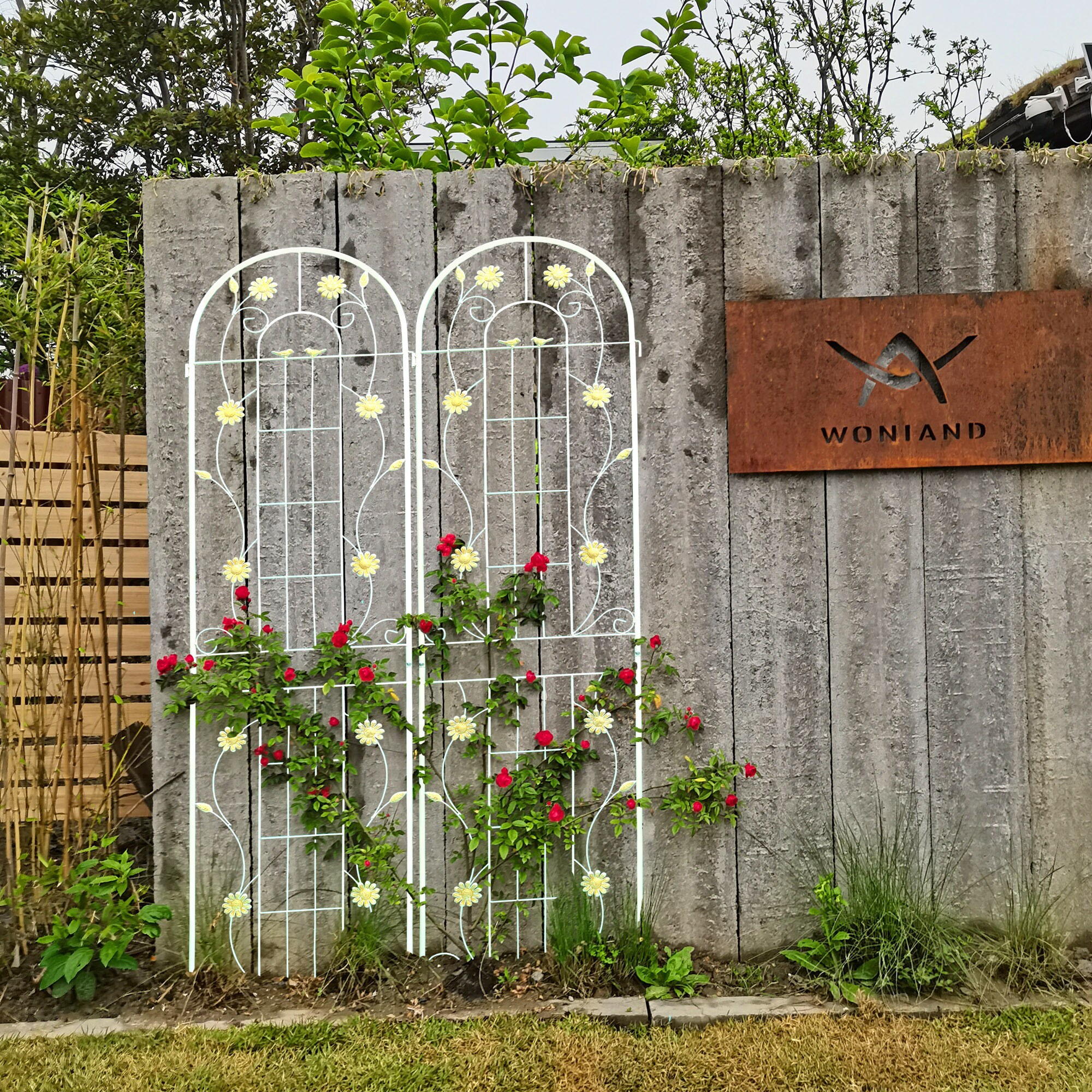 Damerin 19.7-in W x 86.7-in H Cream White Iron Fence Garden Trellis ZLY ...