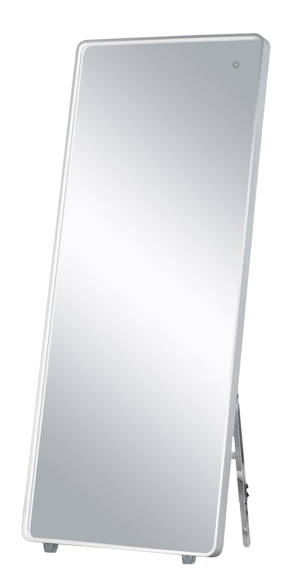 ET2 - Brushed Aluminum - - Steel Mirror in the Mirrors department at ...