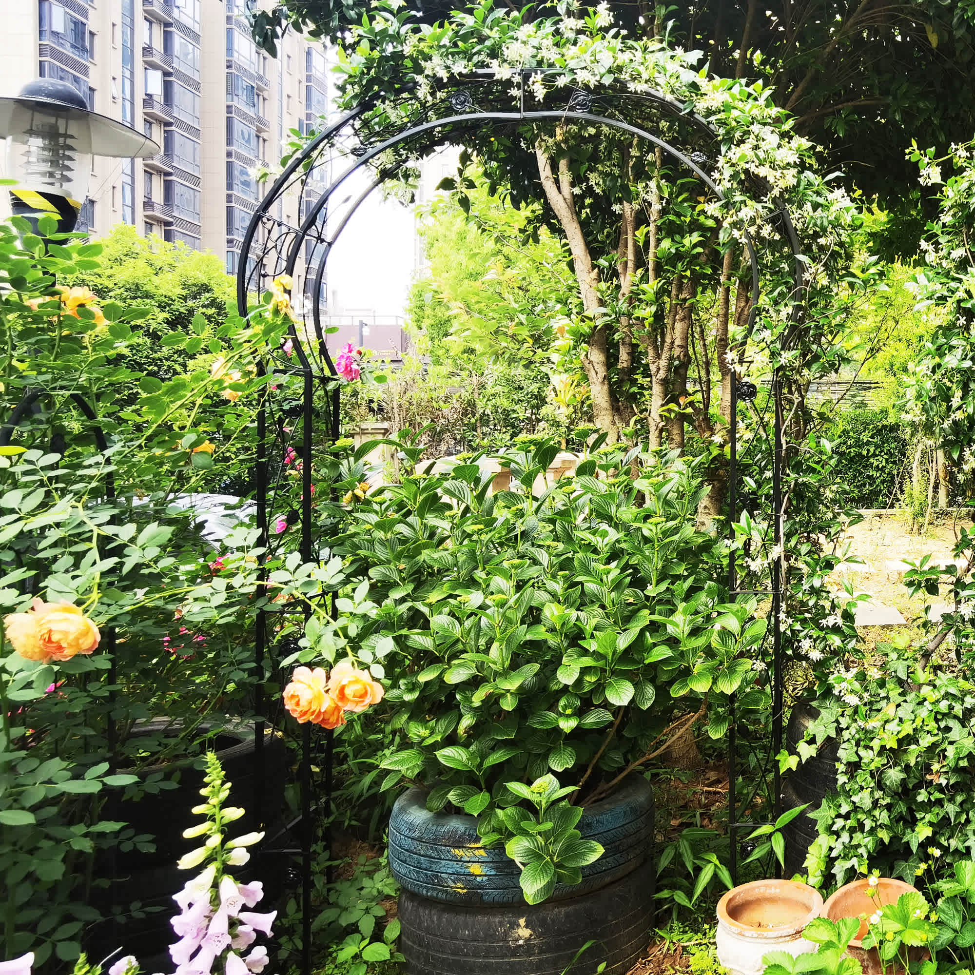 Vynxaria Metal Garden Arch 8 Assembly Styles Gothic Spire Trellis for ...