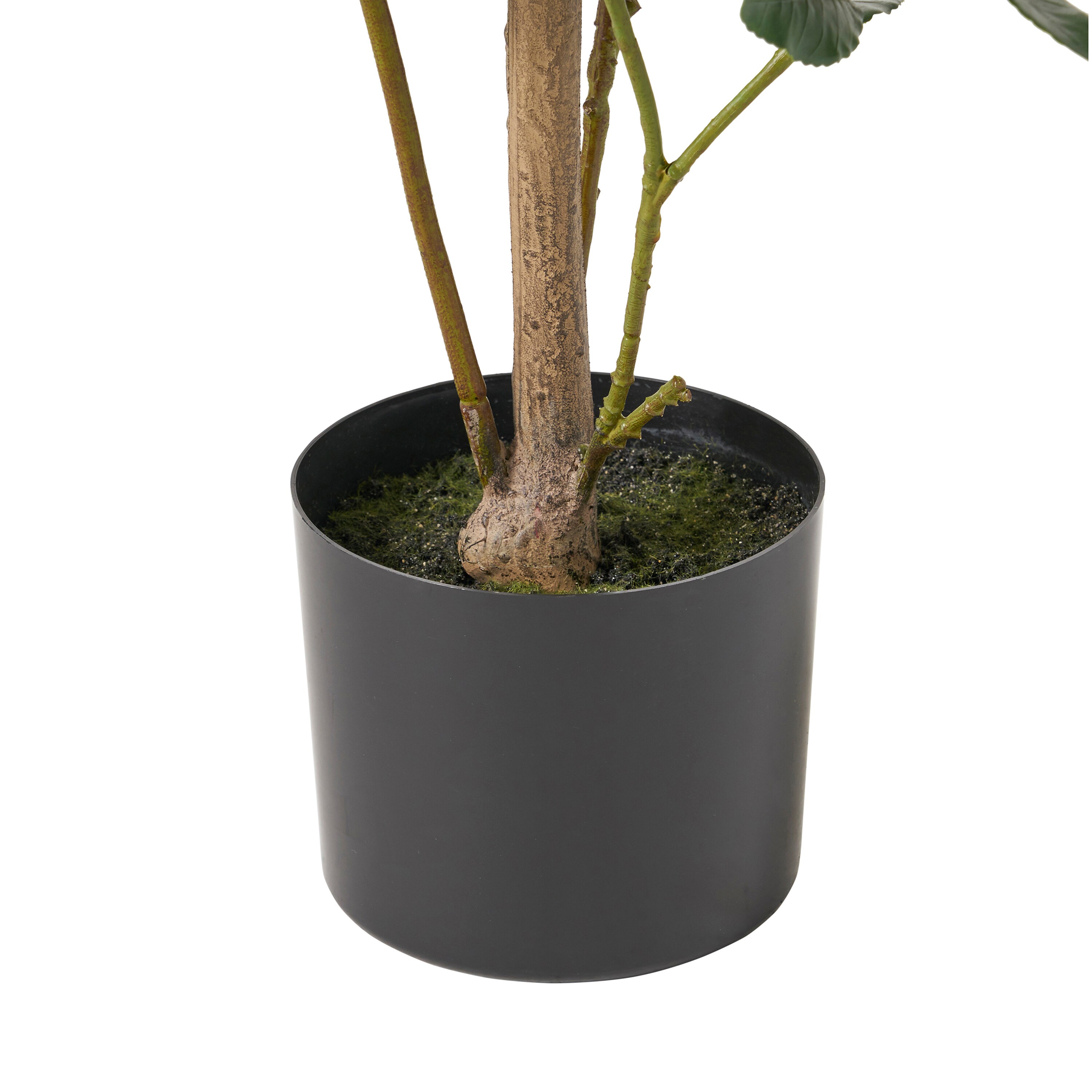 Christopher Knight Home Atoka 4x1.5 FT (120CM) Artificial Laurel Tree ...