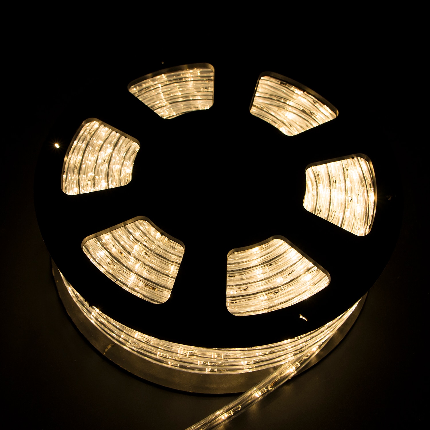WALSPORT Indoor/Outdoor 100-ft Integrated LED Warm White Rope Light ...