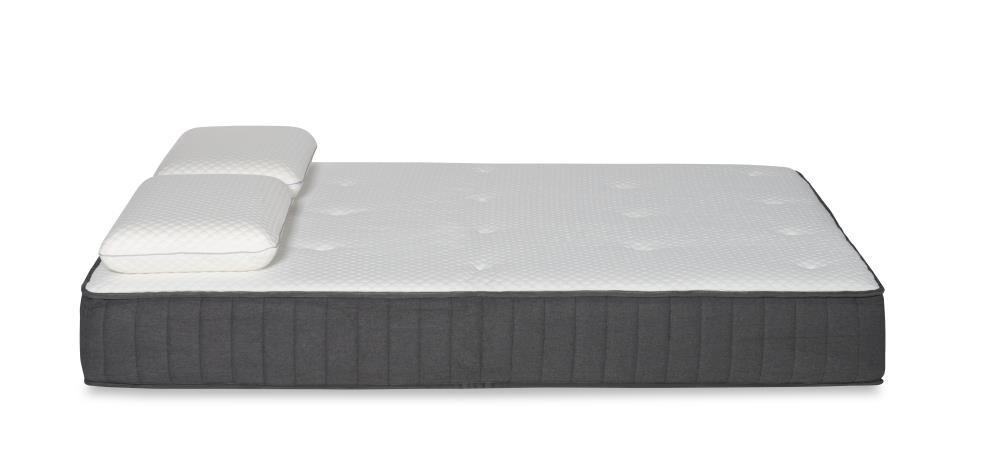 Zio sleep twin mattress in a box store