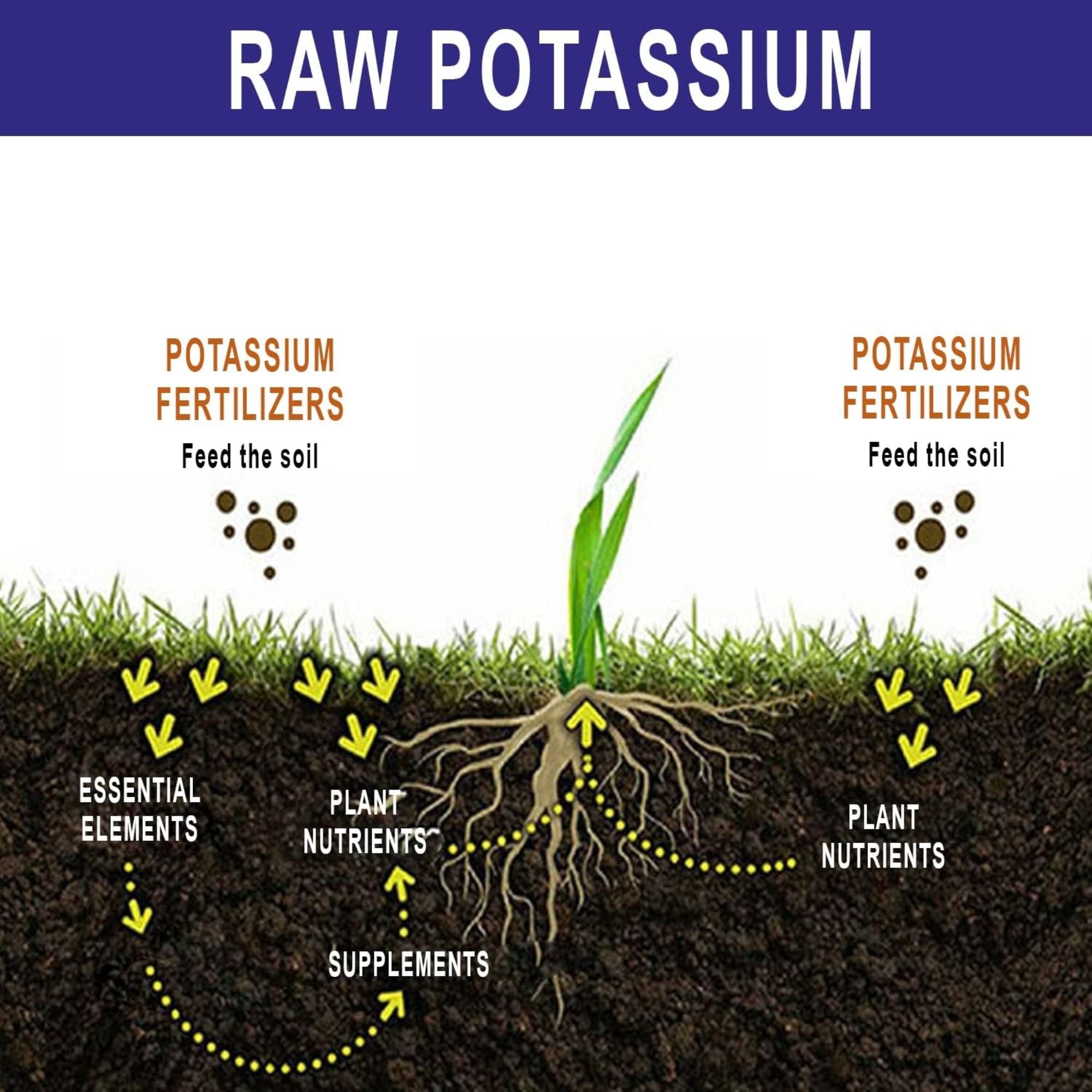RAW Potassium Power Water Soluble Fertilizer for Bountiful Blooms and ...