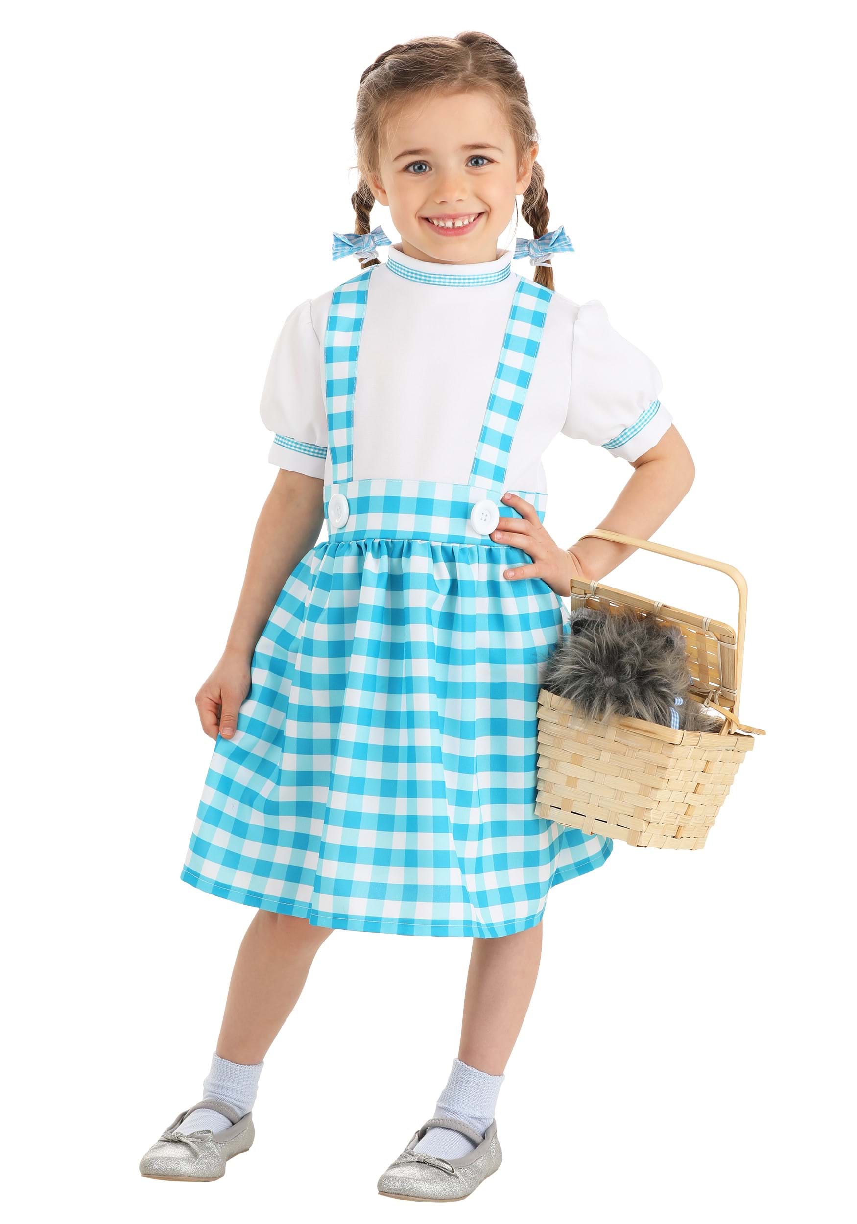 HalloweenCostumes.com FUN Costumes Gingham Kansas Girl Toddler Costume ...