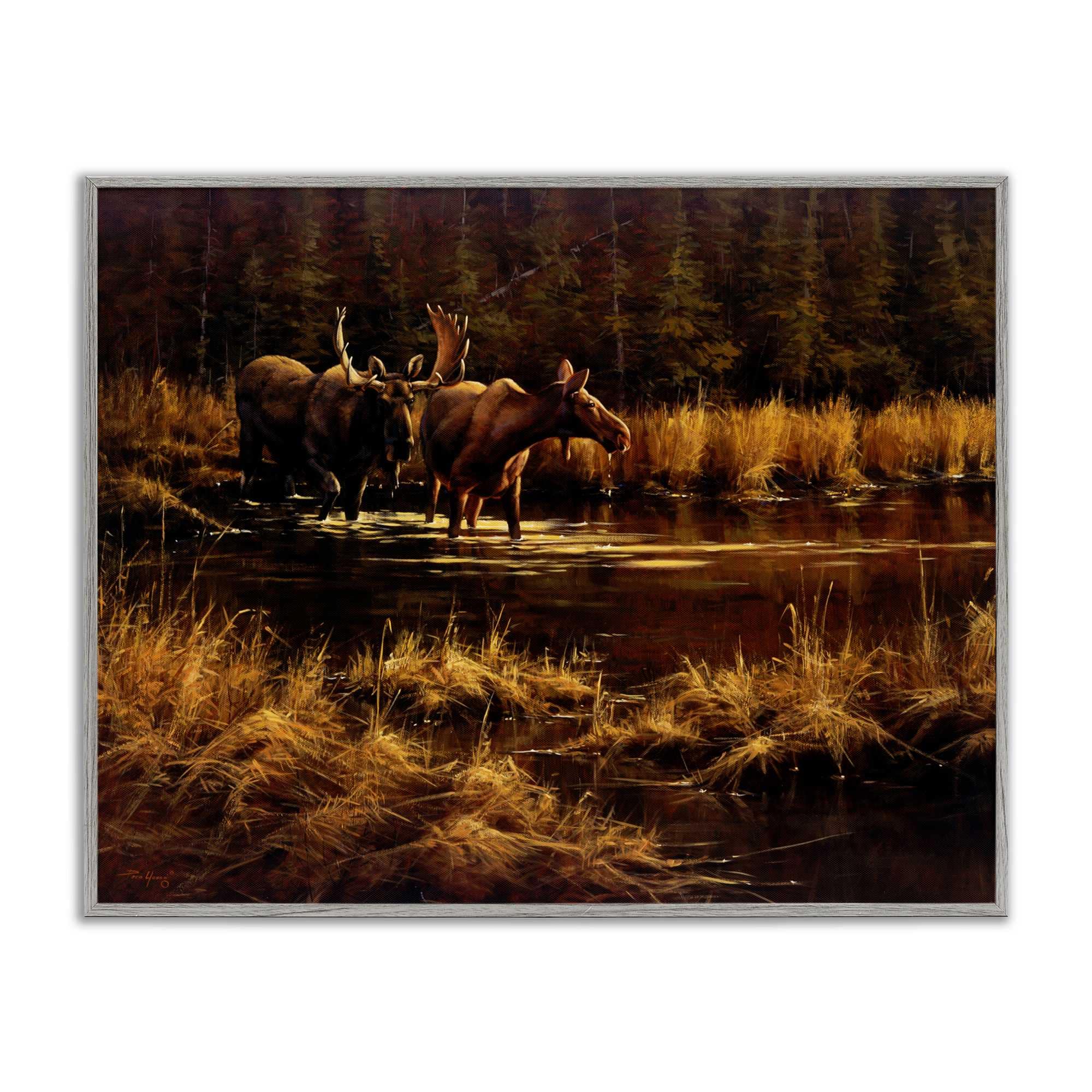 Stupell Industries Moose Pair at Stream Gray Framed Giclee Art By Paco ...