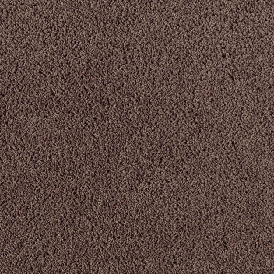 STAINMASTER (Sample) Essentials Renewed Touch I Cobble Path Plush ...