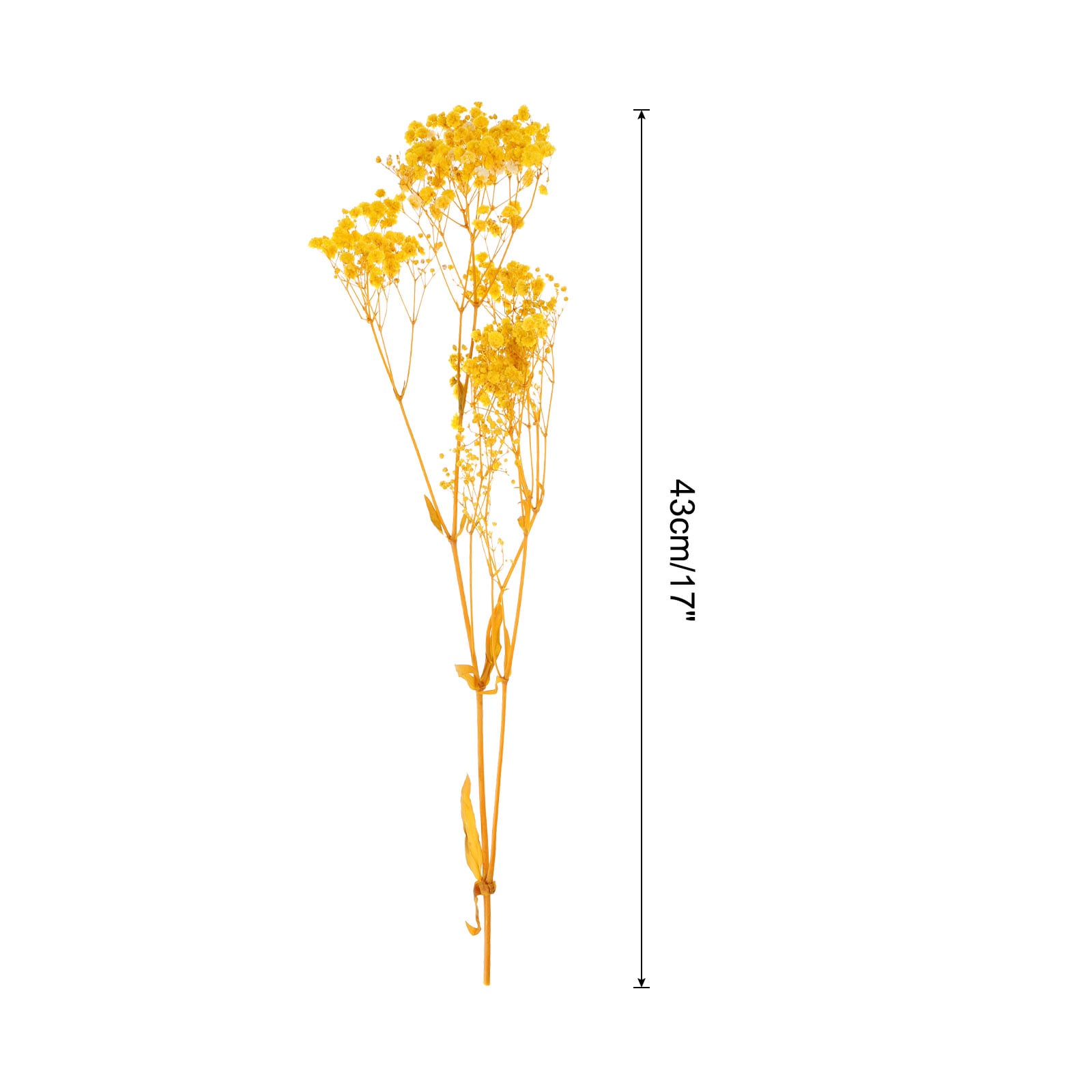 Unique Bargains Dried Baby's Breath Flowers 17 Inch Yellow Natural Baby ...