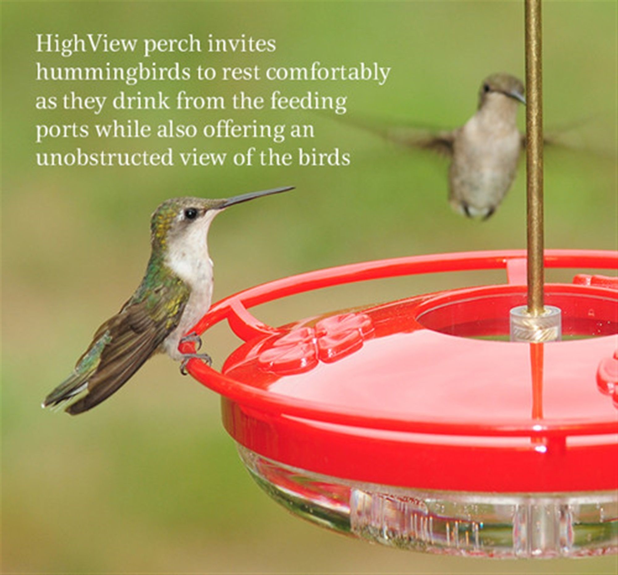 Aspects 4oz HummZinger HummBlossom Nectar Bird Feeder with 3 Feeding ...