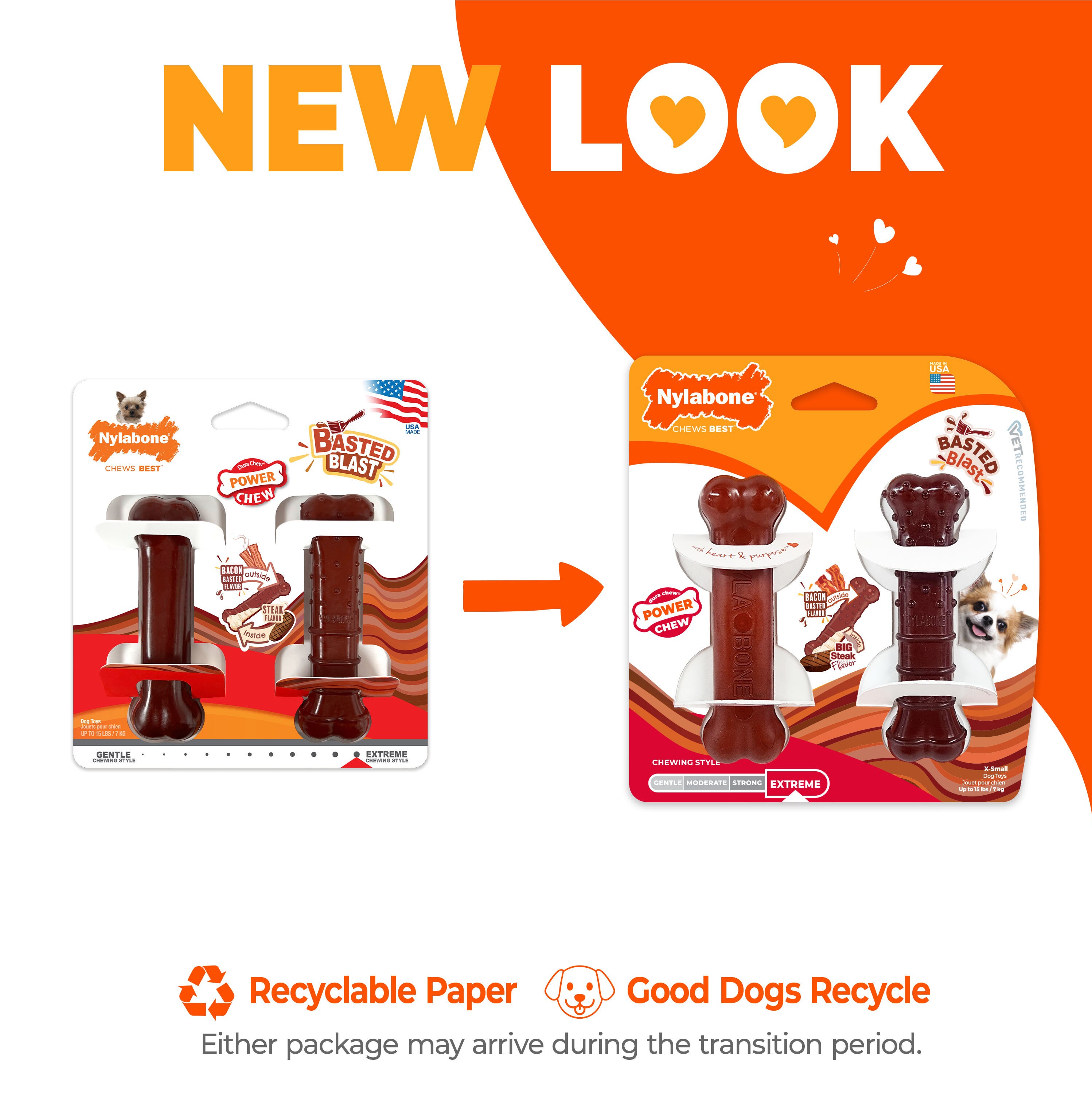 Nylabone Power Chew Basted Blast in the Pet Toys department at Lowes.com