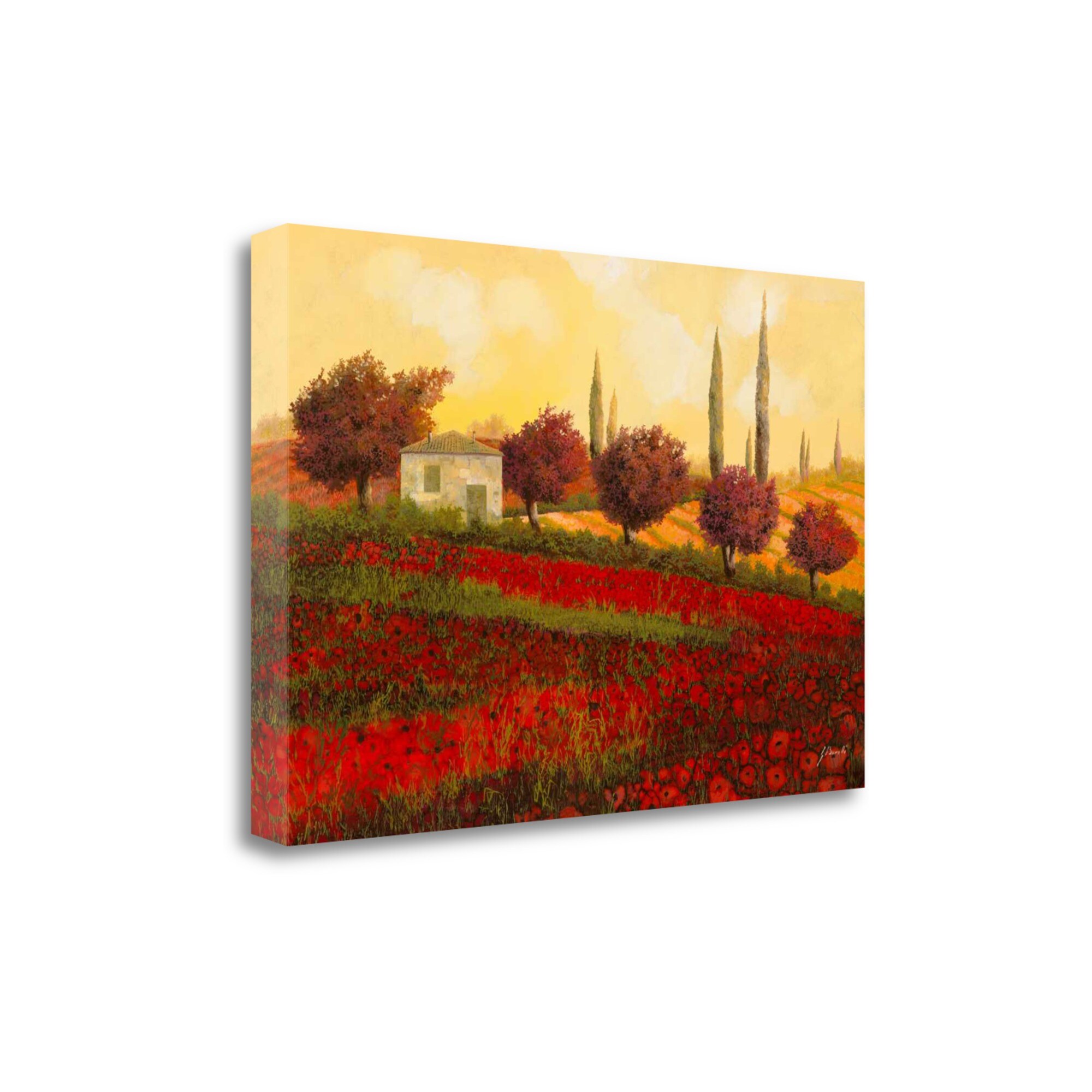 Tangletown Fine Art Papaveri Toscana Ii Guido Borelli 26-in H x 40-in W ...