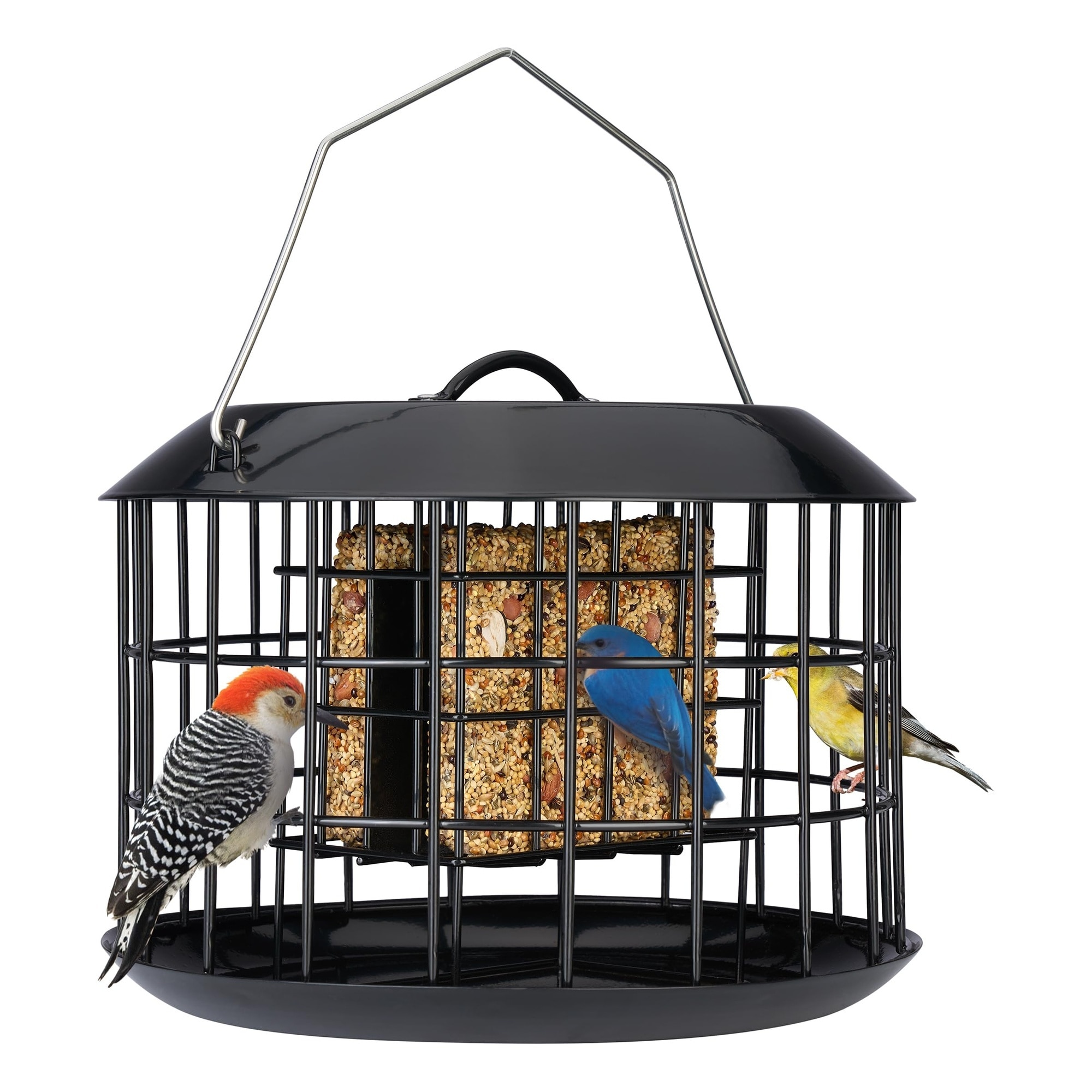 Adrinfly Squirrel Proof Suet Feeder All Metal Outdoor Hanging Bird ...