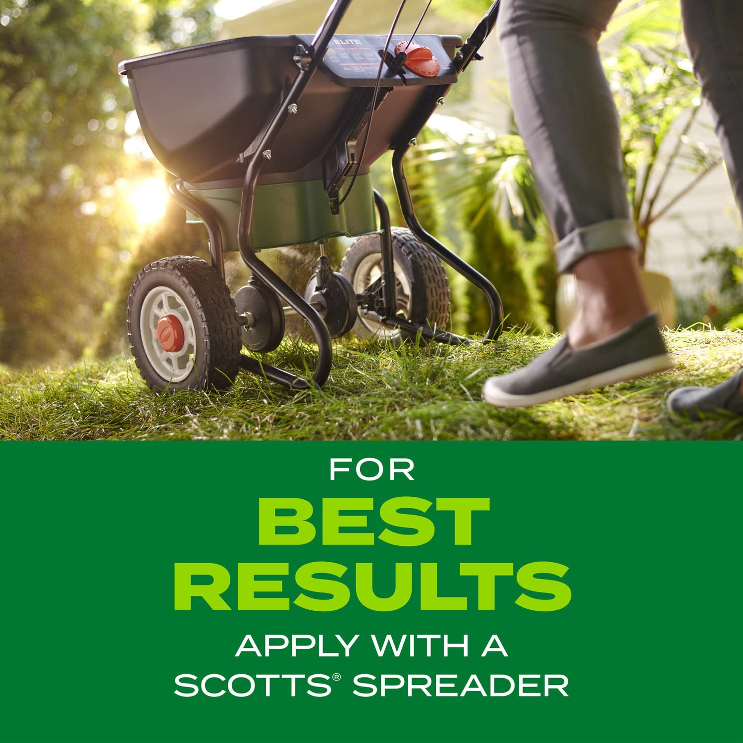 Scotts Turf Builder Rapid Grass Bermudagrass - 8 lbs Seed and ...