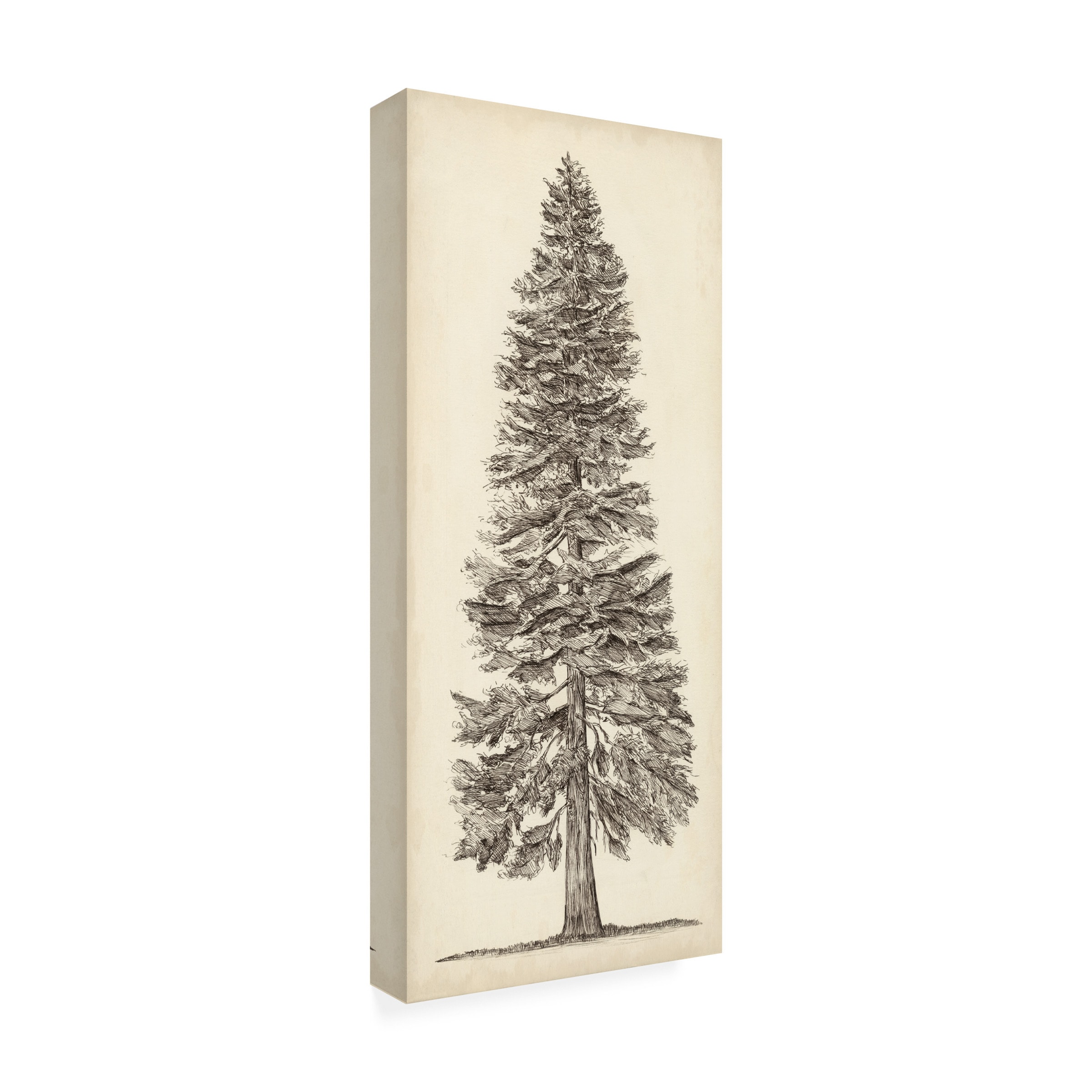 Trademark Fine Art Melissa Wang Still Life Canvas Art in the Wall Art ...