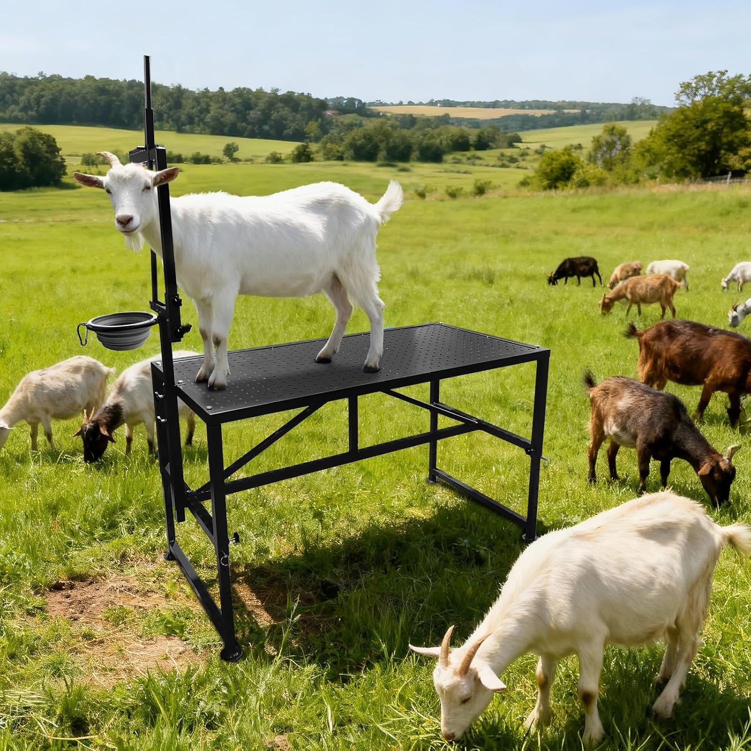 Garvee Goat Stand with Feed Bin Metal Goat Milking Stand with ...