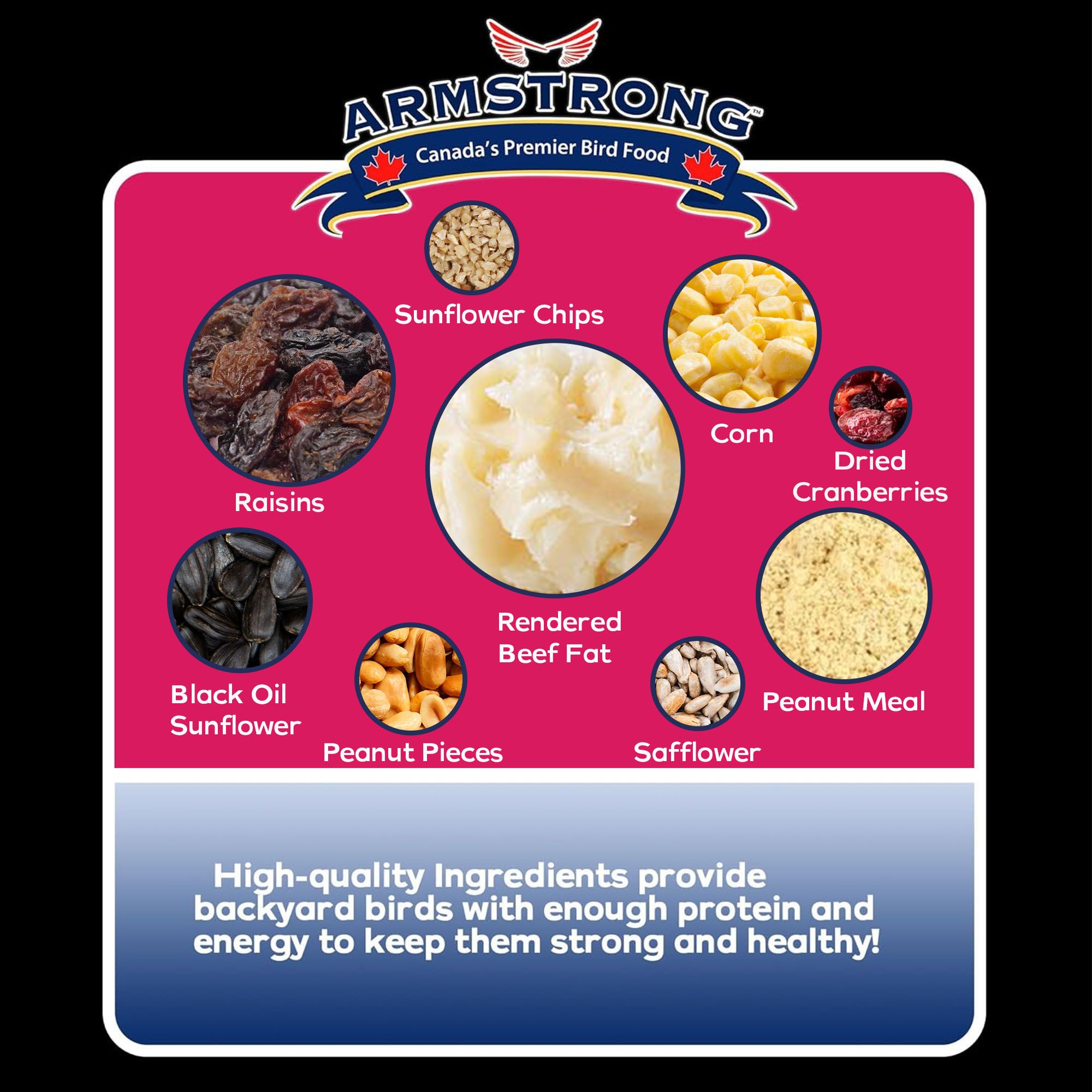 ARMSTRONG Wild Bird Food Royal Jubilee Persistence Suet Cake for ...