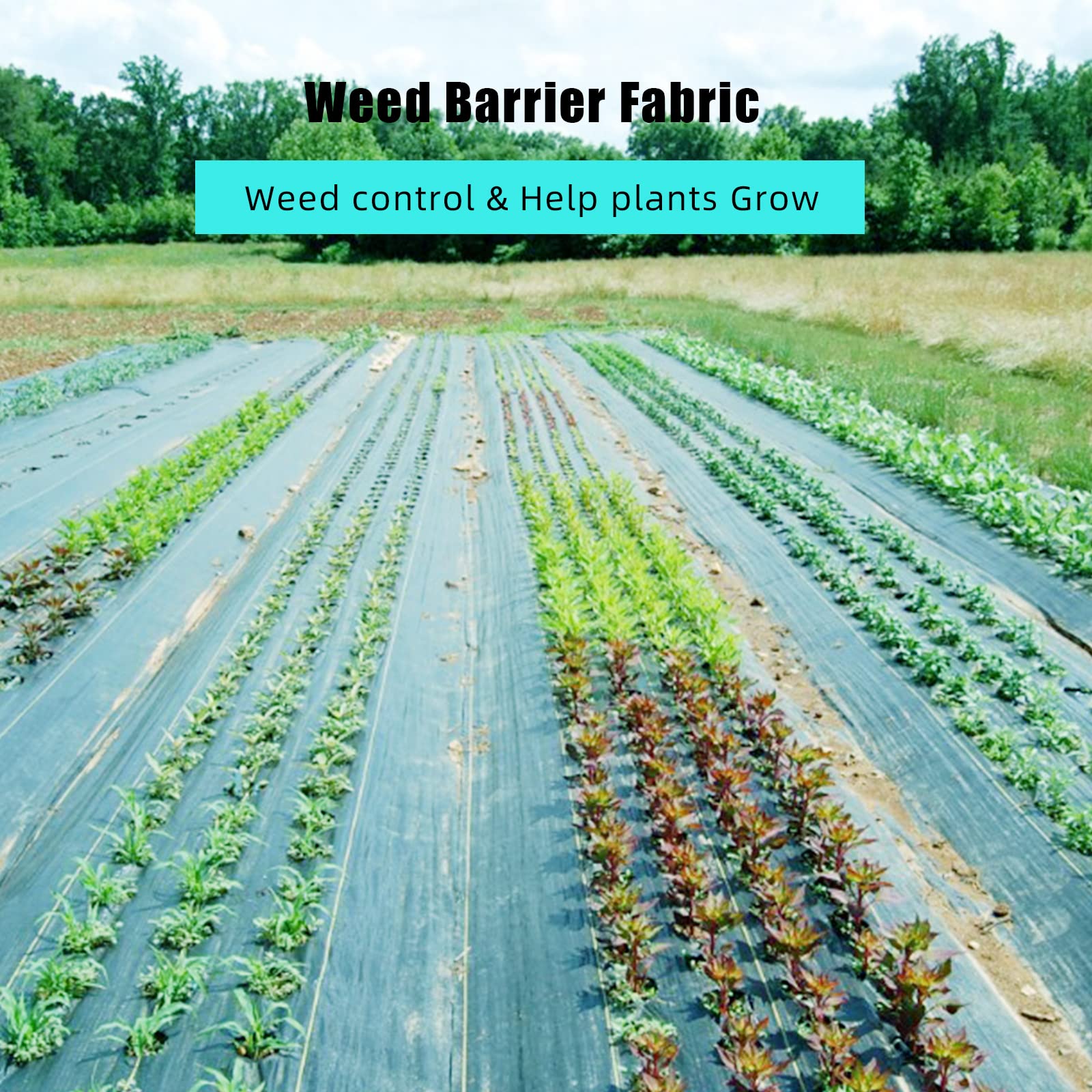 GarveeLife 3.2oz Weed Barrier Fabric 3ft X 300ft High Permeability ...