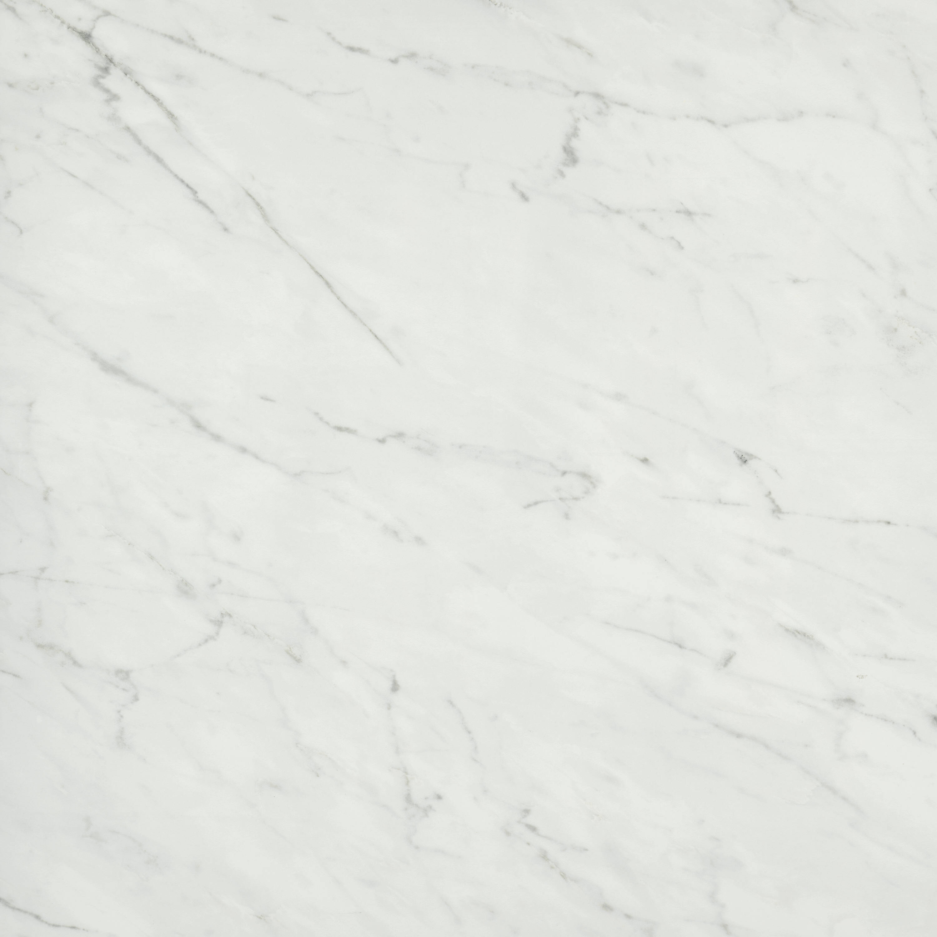Emser Vara Marble 24 In X 24 In Matte Porcelain Marble Look Floor And
