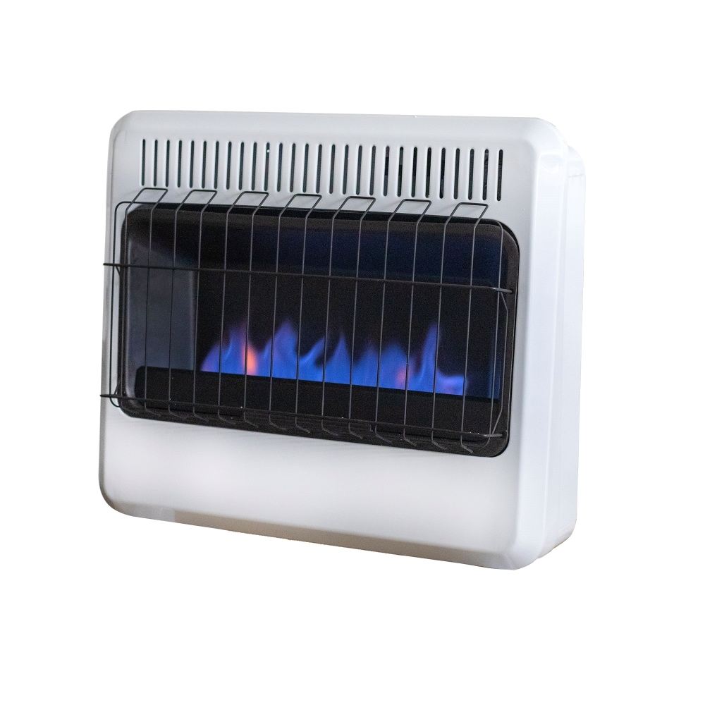 Master Forge 30000 -BTU Wall -Mount Indoor/Outdoor Natural gas or ...