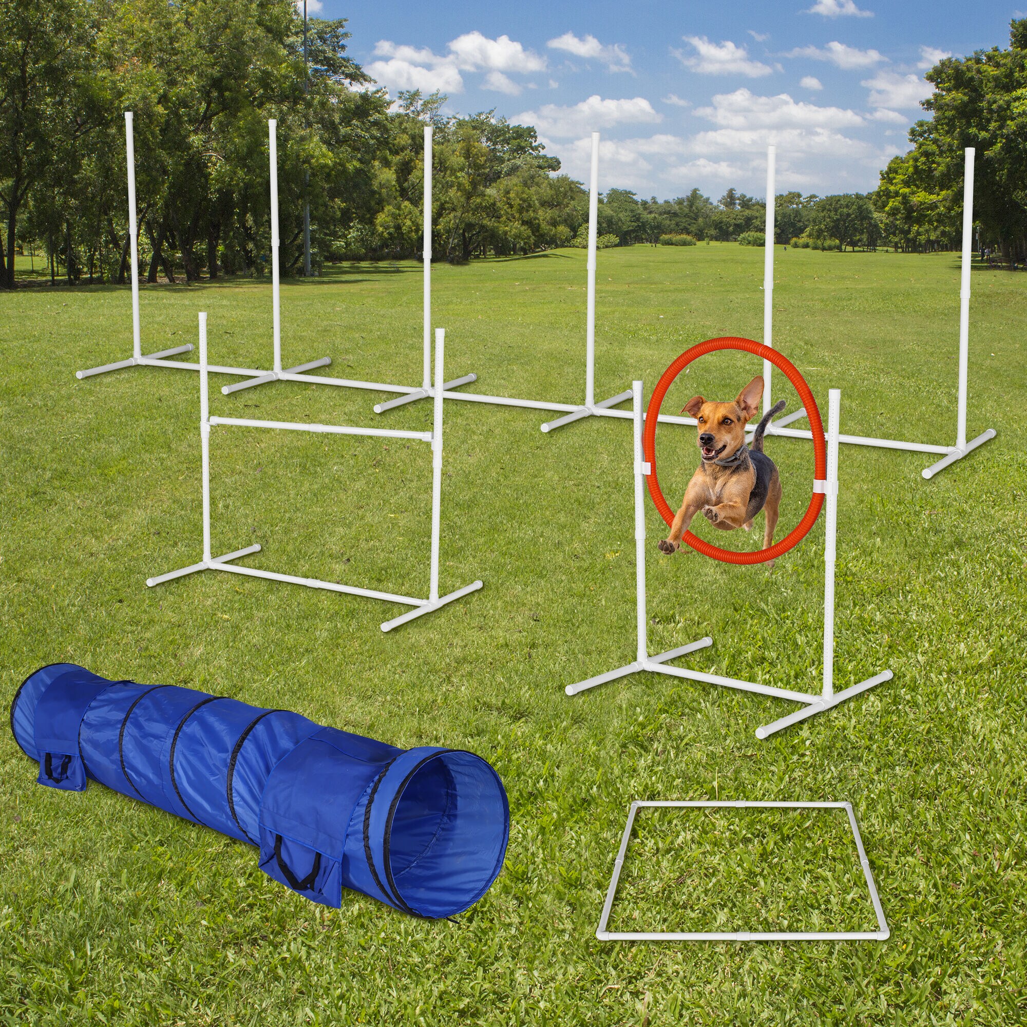 LOVMOR 6Pack Dog Agility Training Equipment Set in the Balance ...