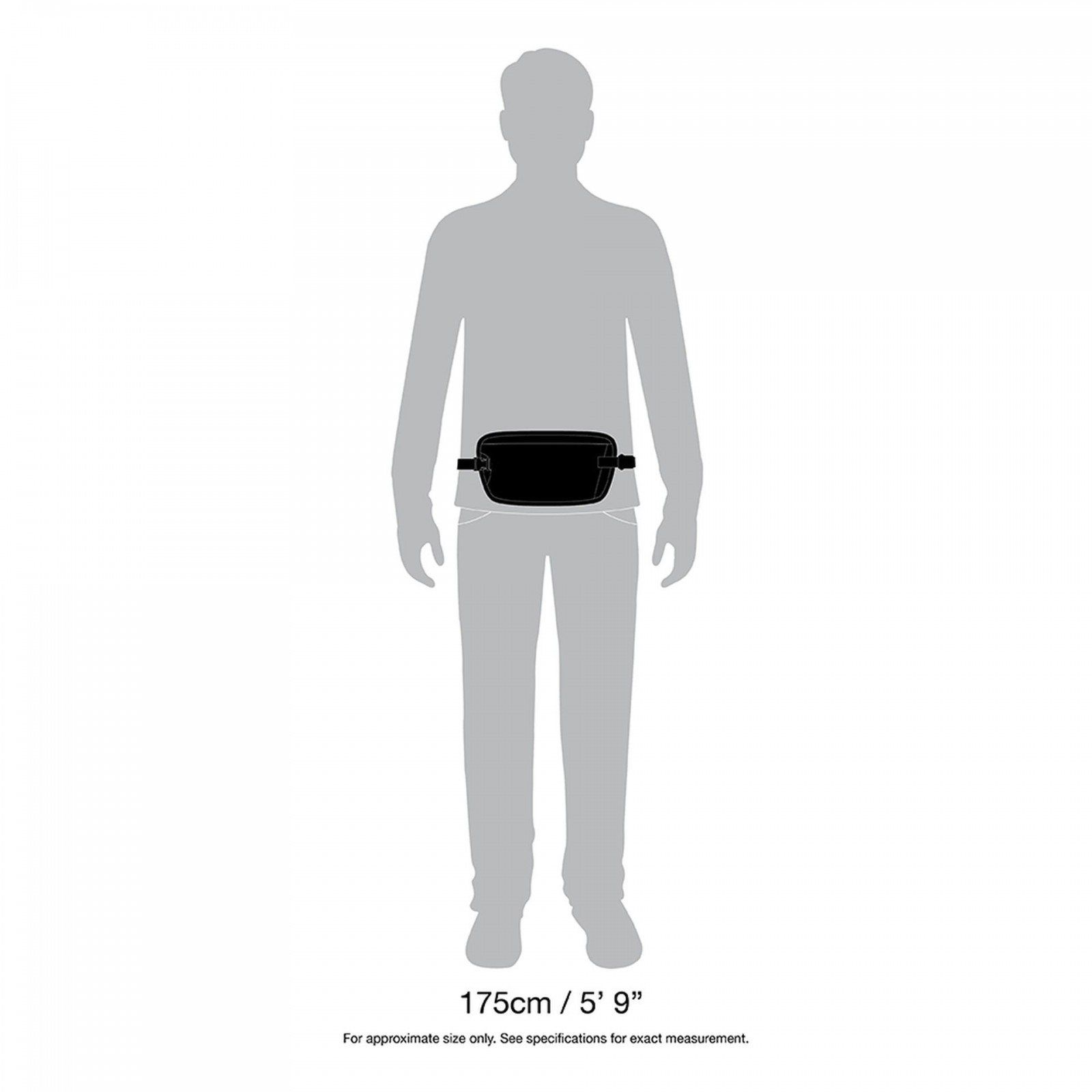 Pacsafe Coversafe X100 Anti-Theft RFID Blocking Waist Wallet Black in ...