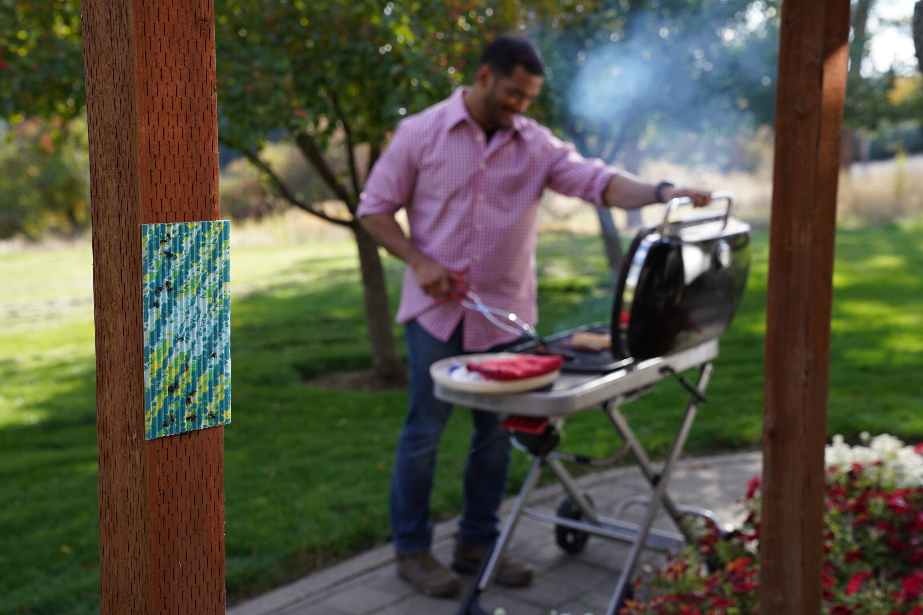 RESCUE! FlyPad for Flies Indoor/Outdoor Insect Trap (2-Pack) in the ...