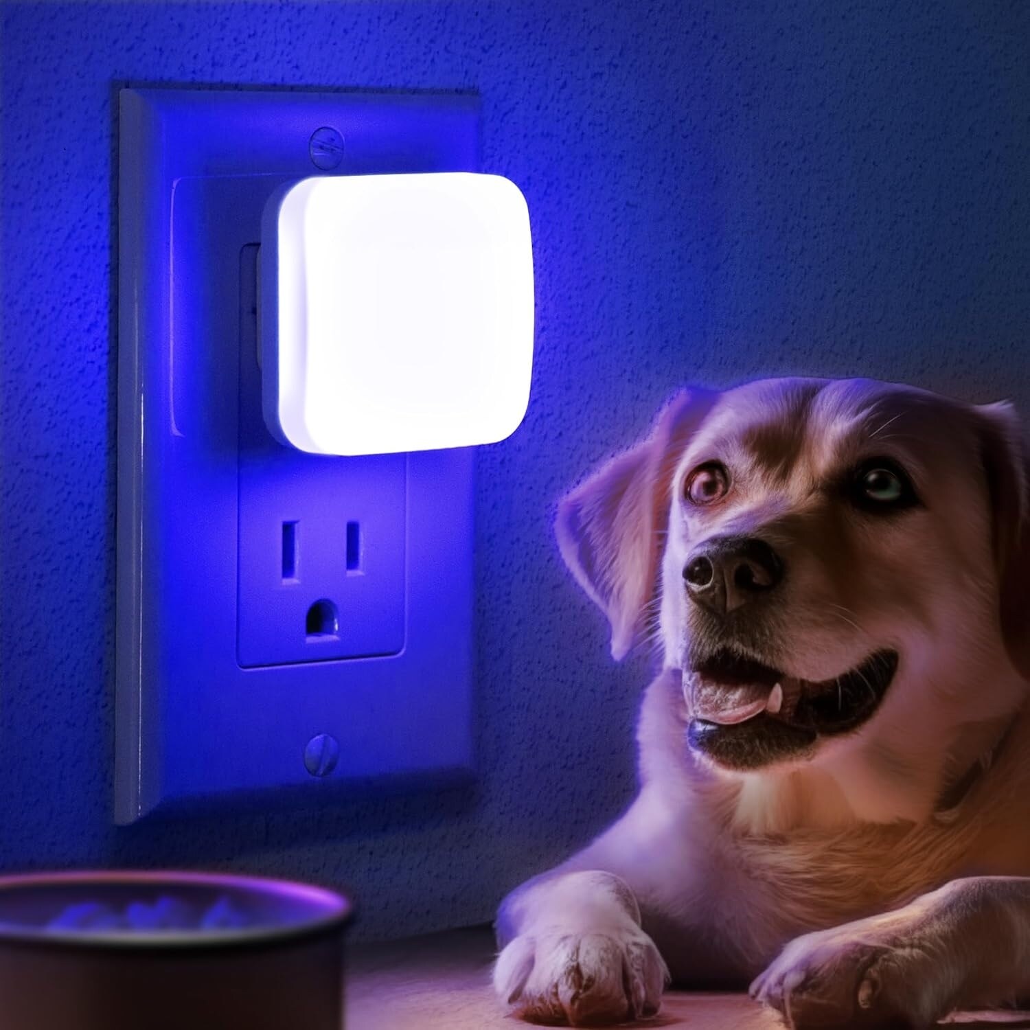 DORESshop Blue Night Lights Plug into Wall 2 Pack Nightlights With Dusk ...