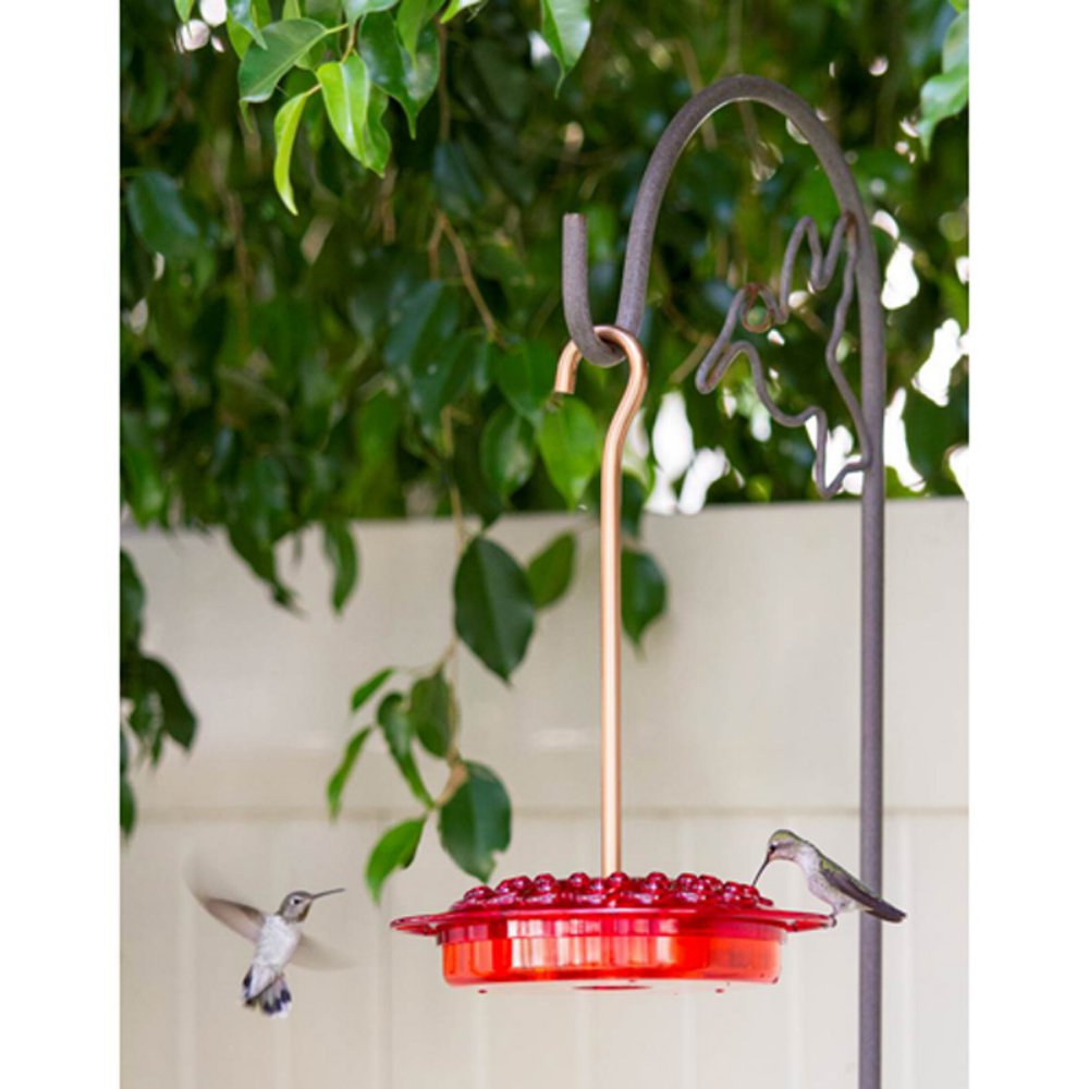 Ultimate Innovations feeder Plastic Hanging/Window-mount (suction cup ...