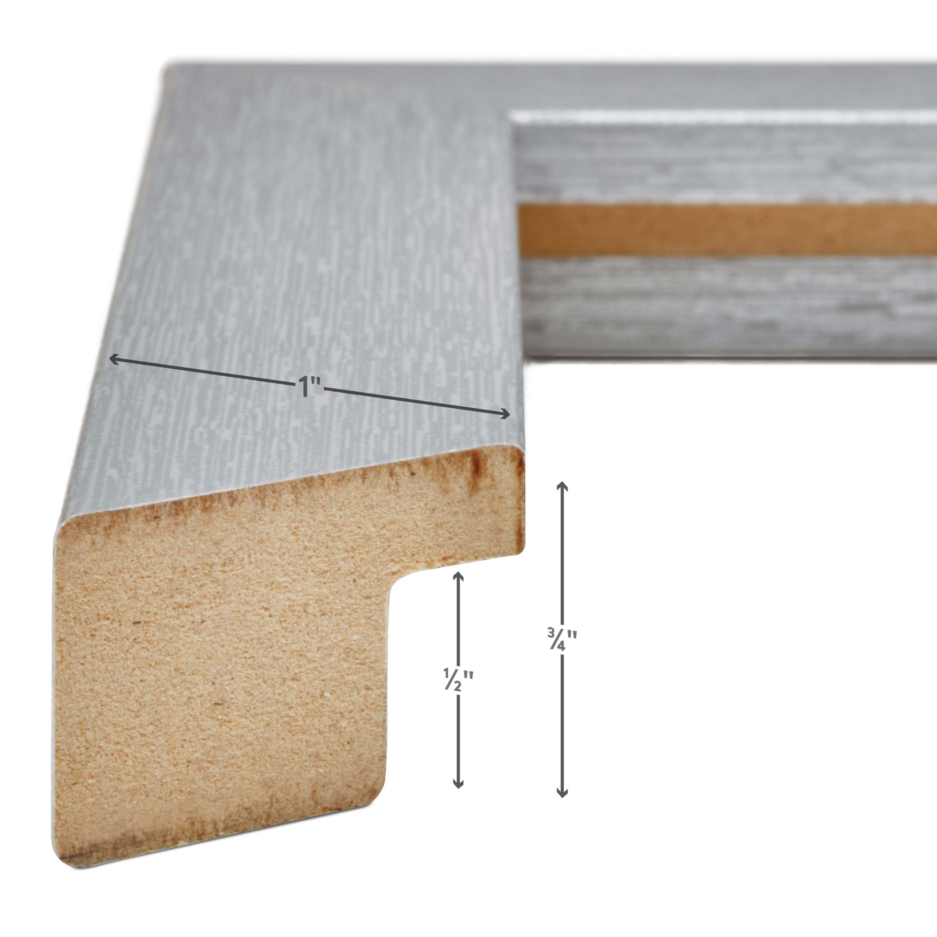 Craig Frames 20x24 Picture Frame Brushed Silver Essentials Style 80786 ...