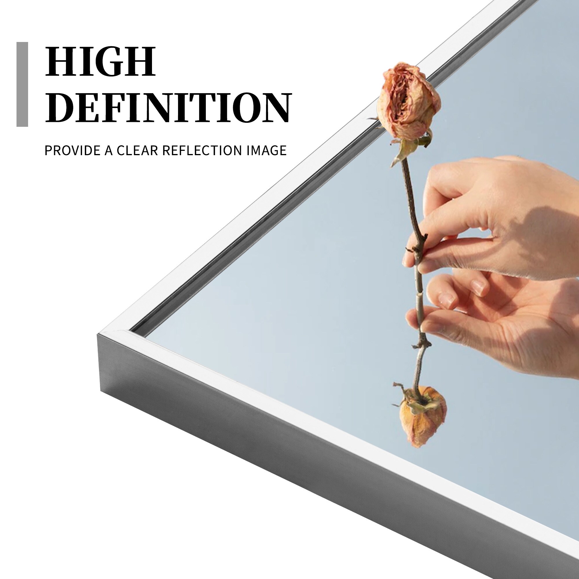 Dovelina 21-in W x 64-in H Metal Sliver Floor Mirror Full Length Mirror ...