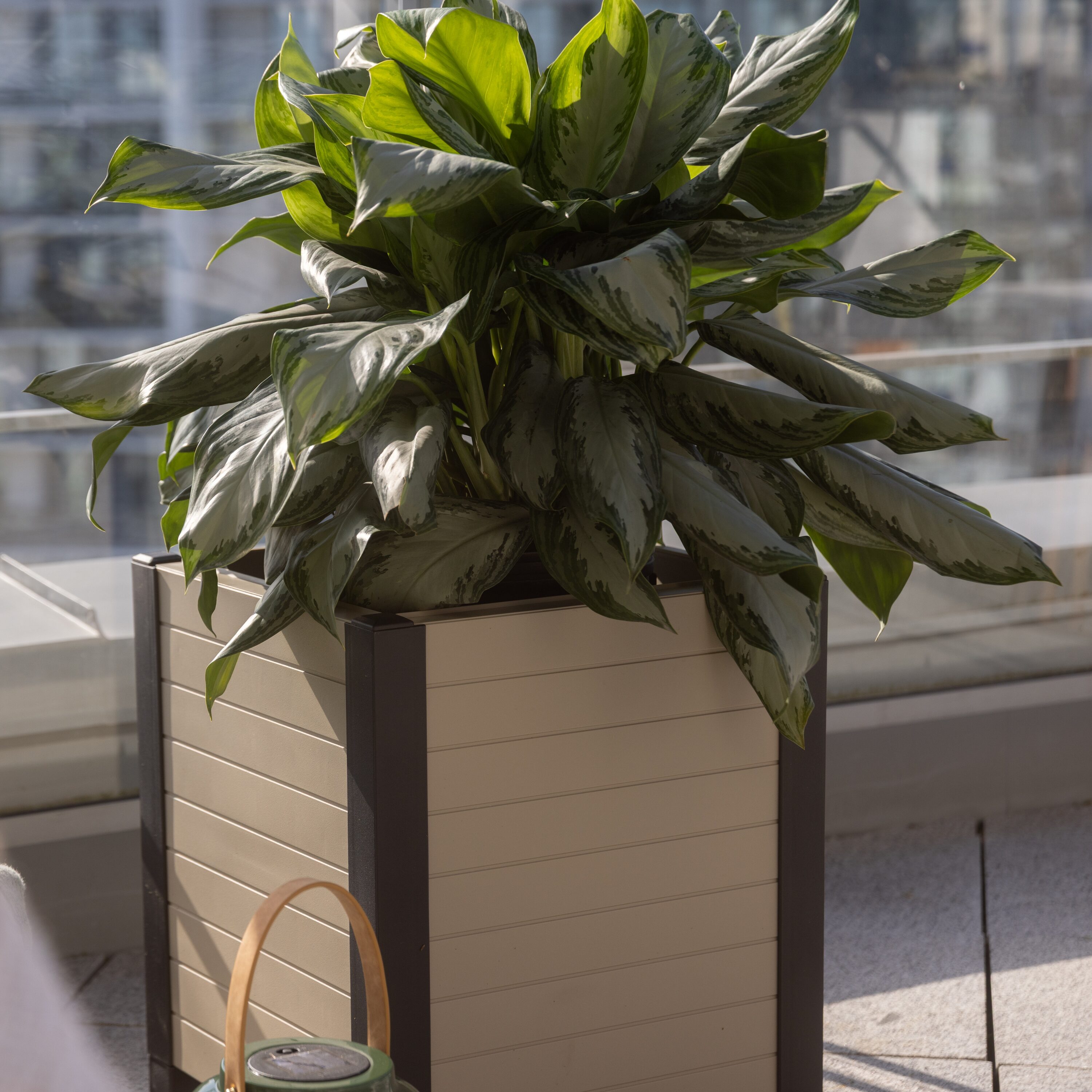 Tierra Verde Square 17-in W x 17-in L Brown Rubber Indoor/Outdoor Self Watering Planter in the ...