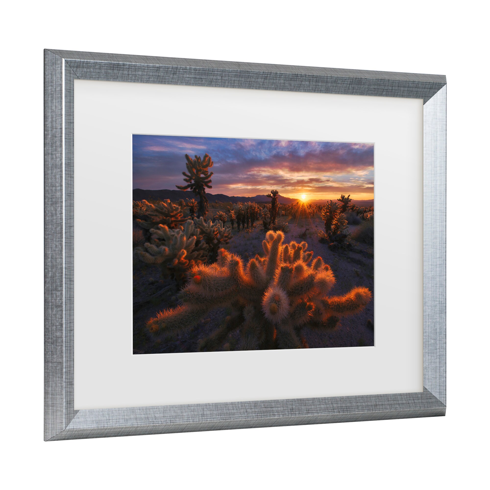 Trademark Fine Art Cholla Garden Inigo Cia Multicolor Wood Framed 16-in ...