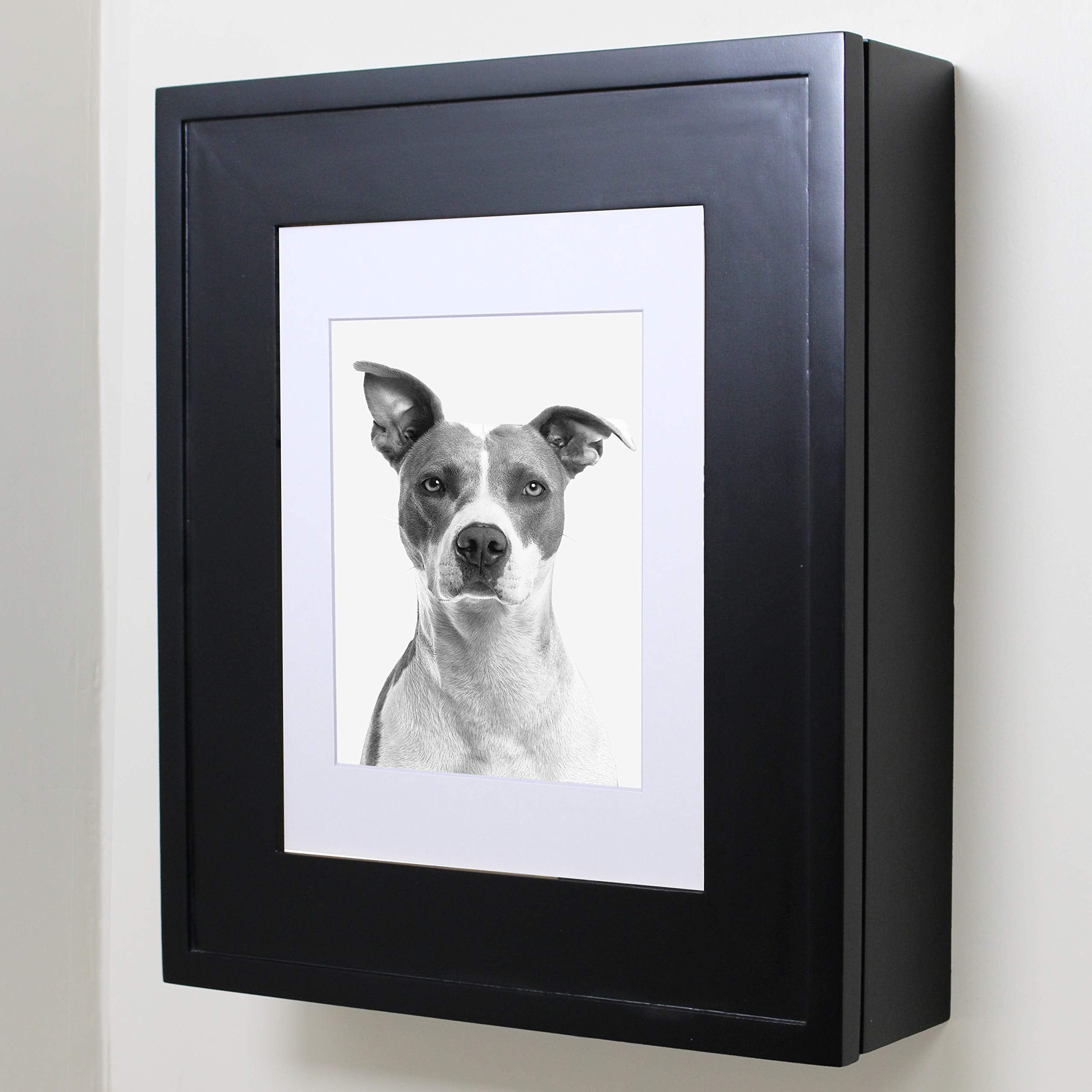 Fox Hollow Furnishings 20x17 Picture Perfect Wall Mount Medicine ...