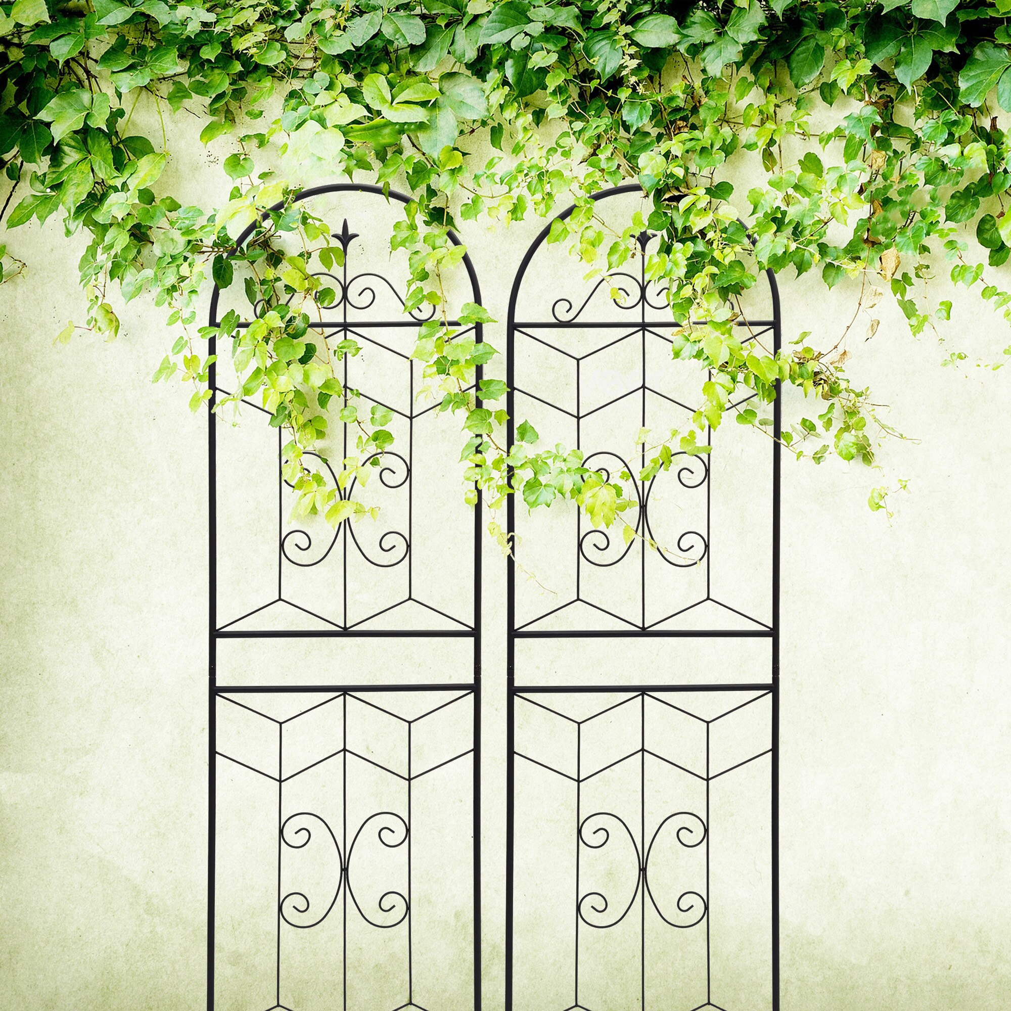 JJJ Garden Trellis 19.7-in W x 71-in H Black Iron Garden Trellis For ...
