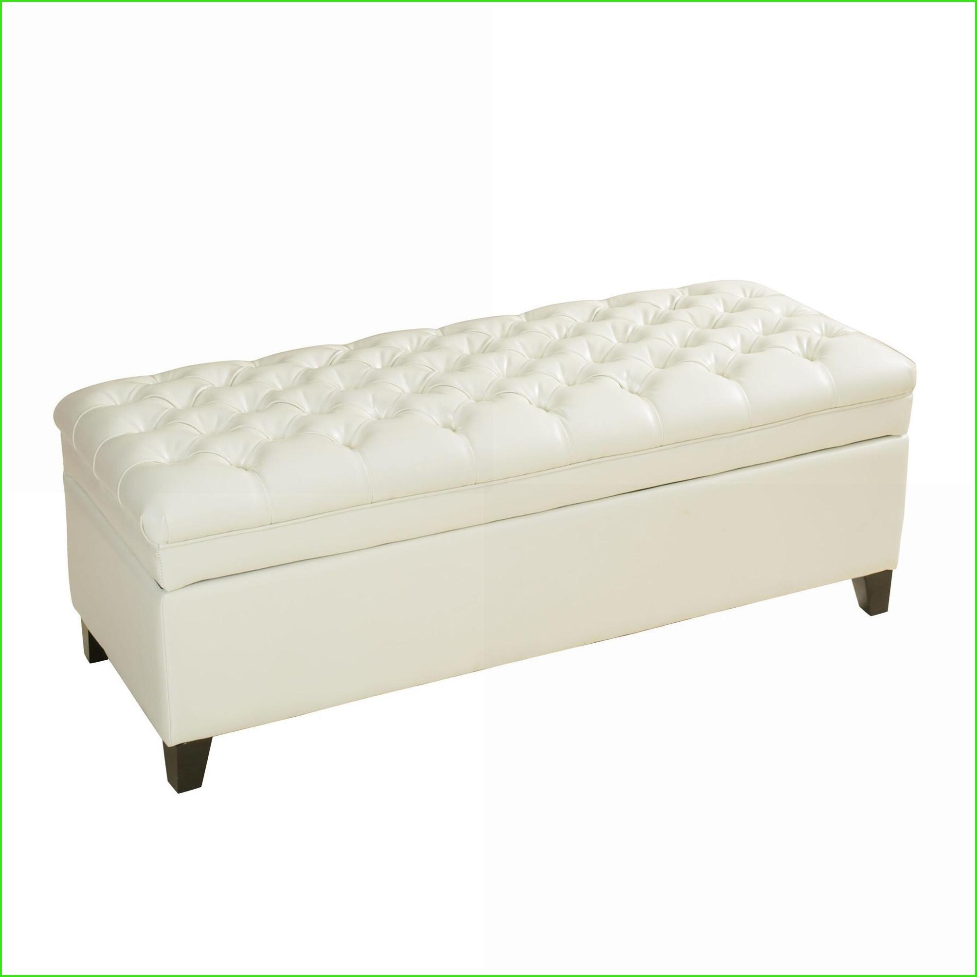 Watnature Ottoman with Storage Contemporary 50 Wide for Living Room ...