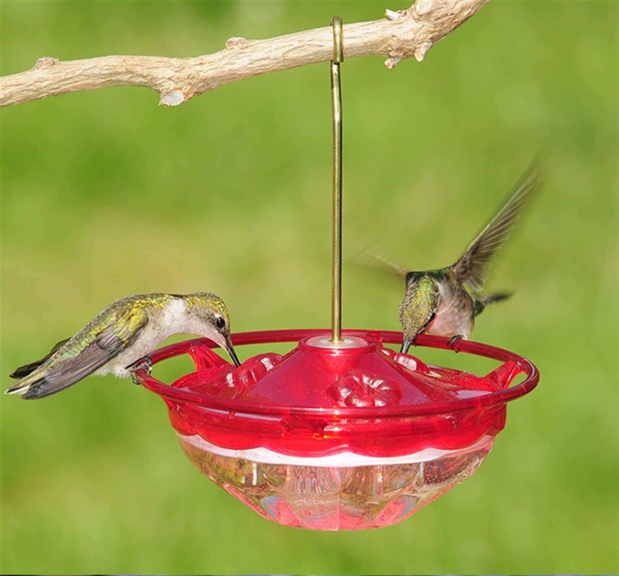 Aspects 4oz HummZinger HummBlossom Nectar Bird Feeder with 3 Feeding ...