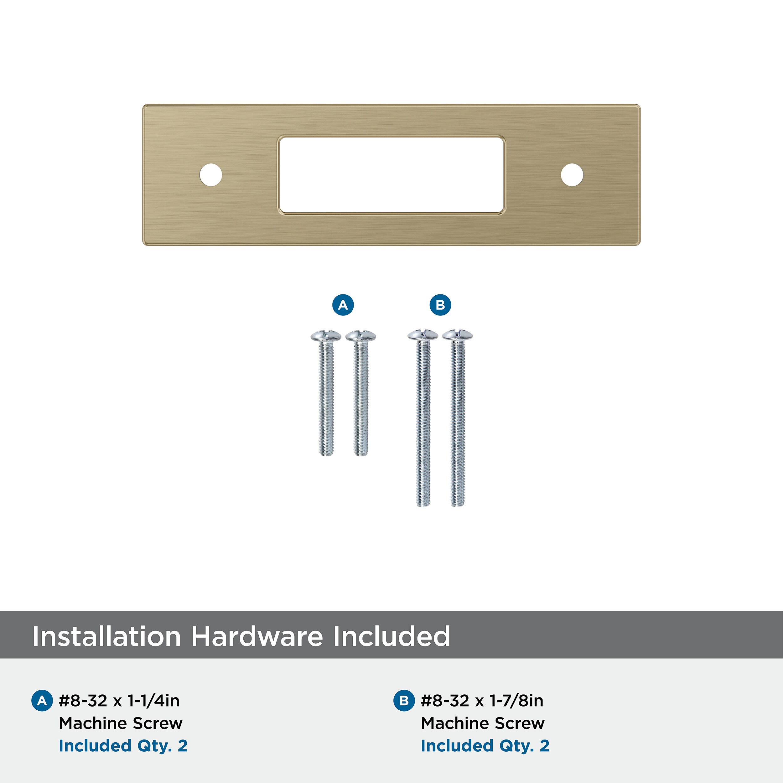 Amerock Golden Champagne Steel Backplate in the Drawer Hardware ...