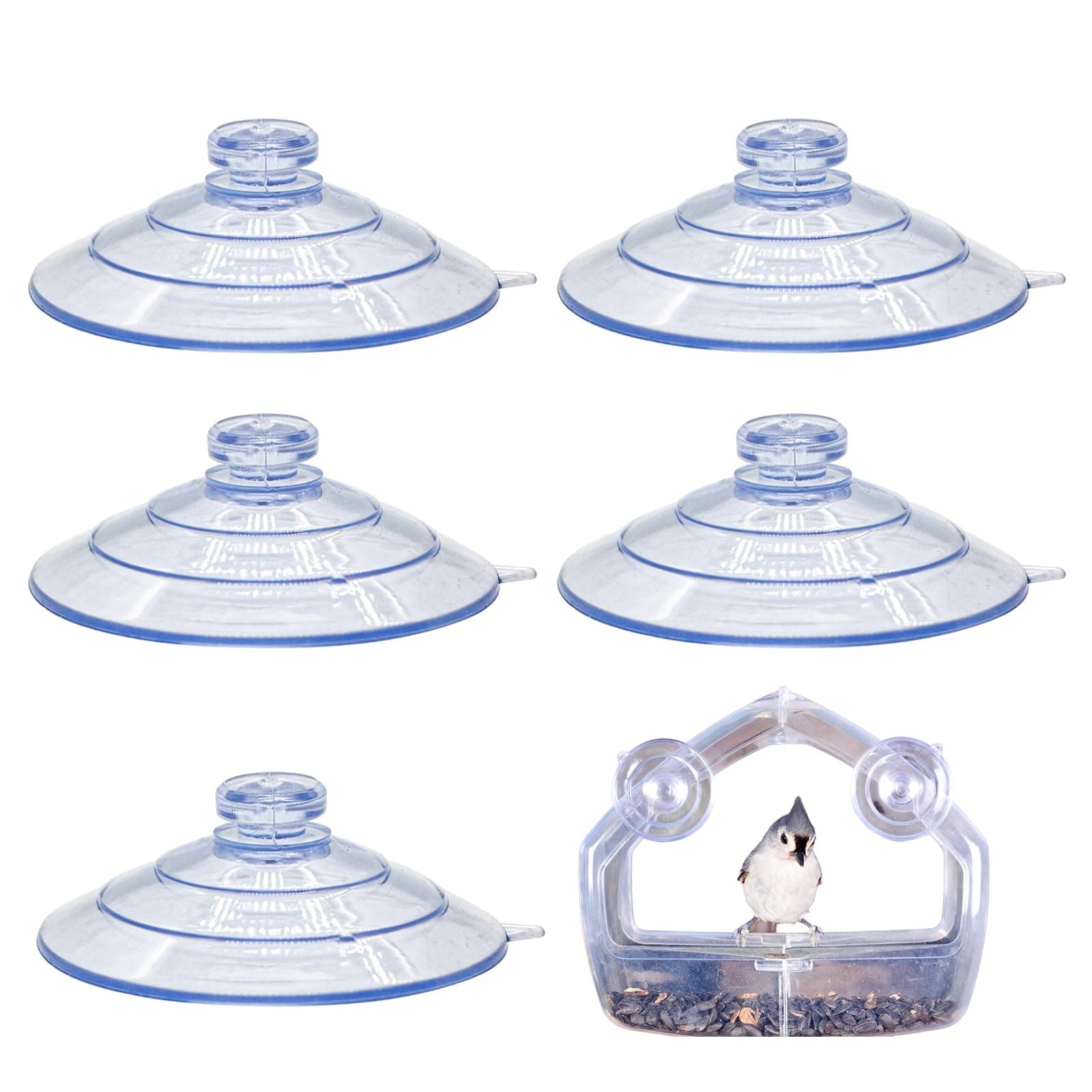 Phewnyzo Clear Plastic Suction Cups for Window Bird Feeders 5 Pack ...