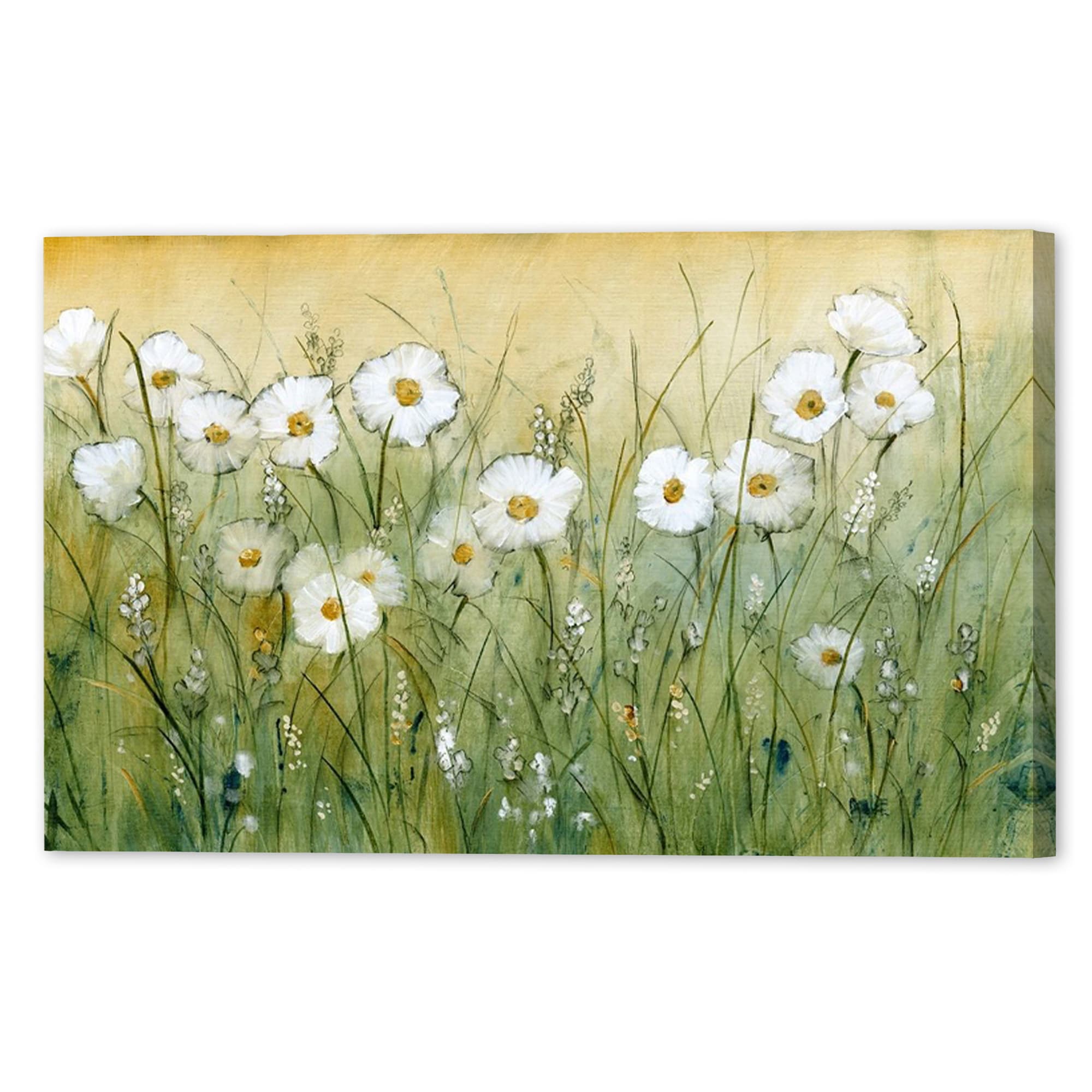 Somerset House Daisy Spring II Fine Art Giclee Print on Gallery Wrap ...