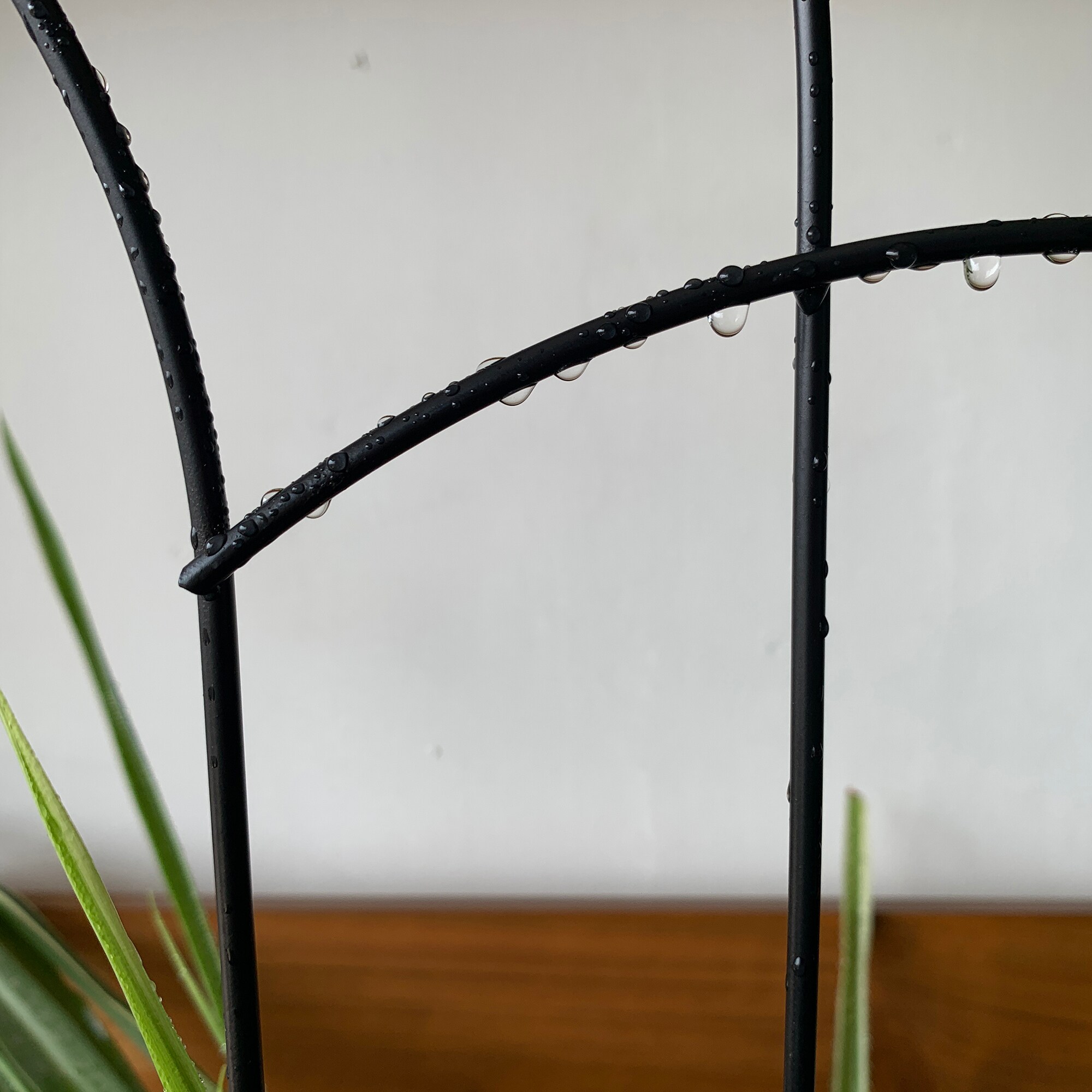 Style Selections 12-in W x 24-in H Black Steel Garden Trellis For ...