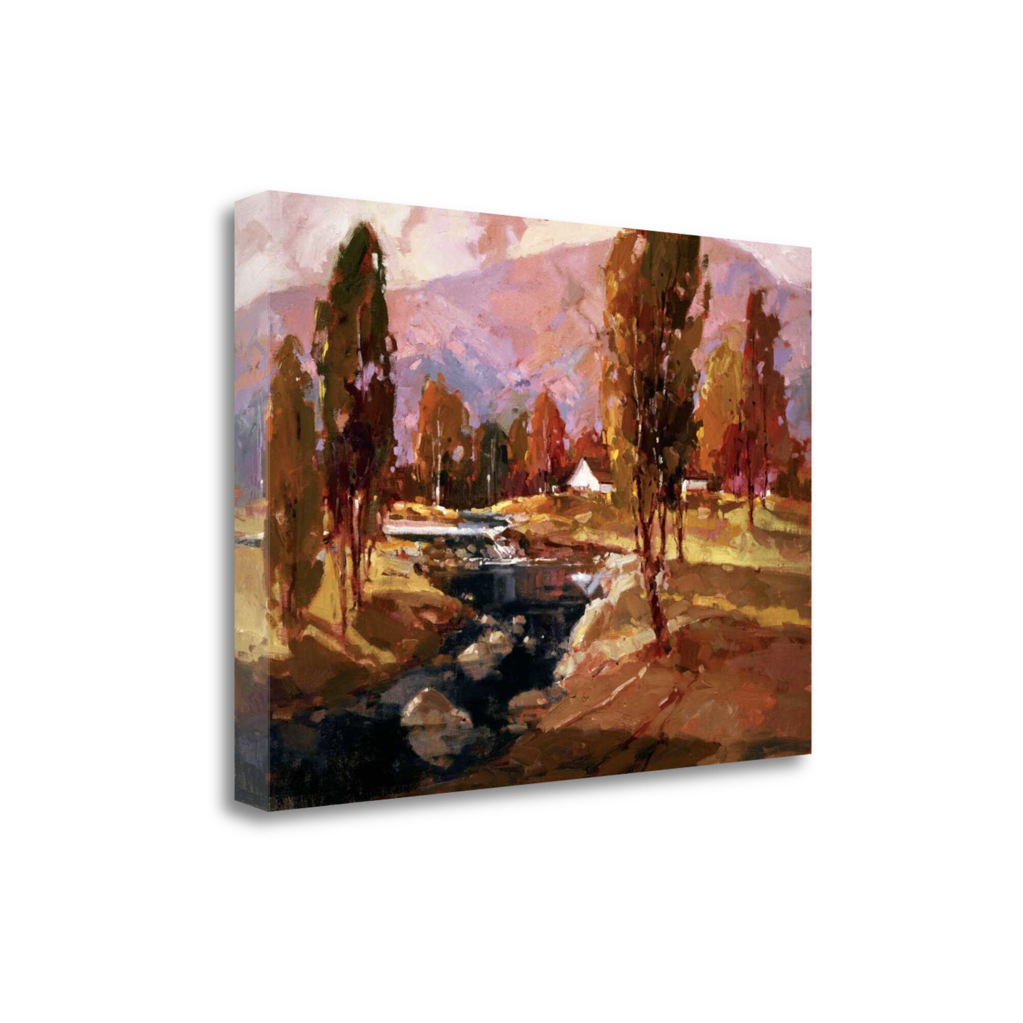 Tangletown Fine Art Fall In The Valley Ted Goerschner 17-in H x 24-in W ...