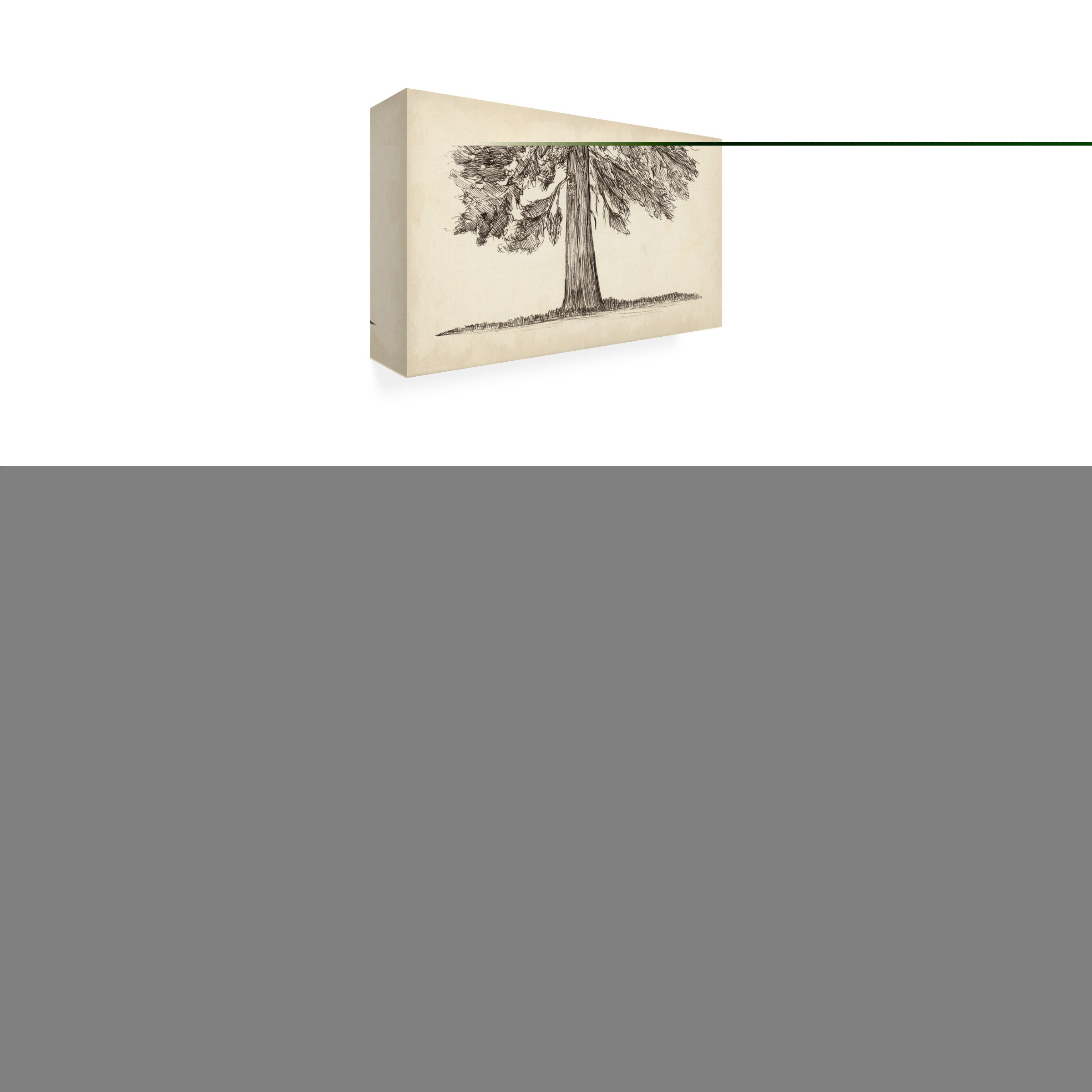 Trademark Fine Art Melissa Wang Still Life Canvas Art in the Wall Art ...